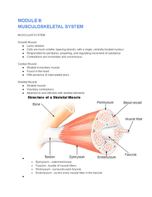 Nervous System Notes - ZOOLONE NERVOUS SYSTEM TERM 1 A. 2022 – 2023 ...