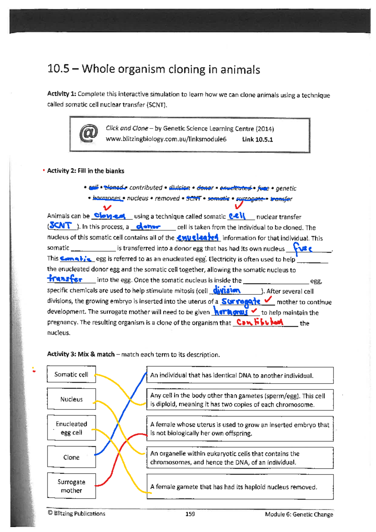 BB 10.5 Cloning animals - 10 Whole organism cloning in animals Activity ...