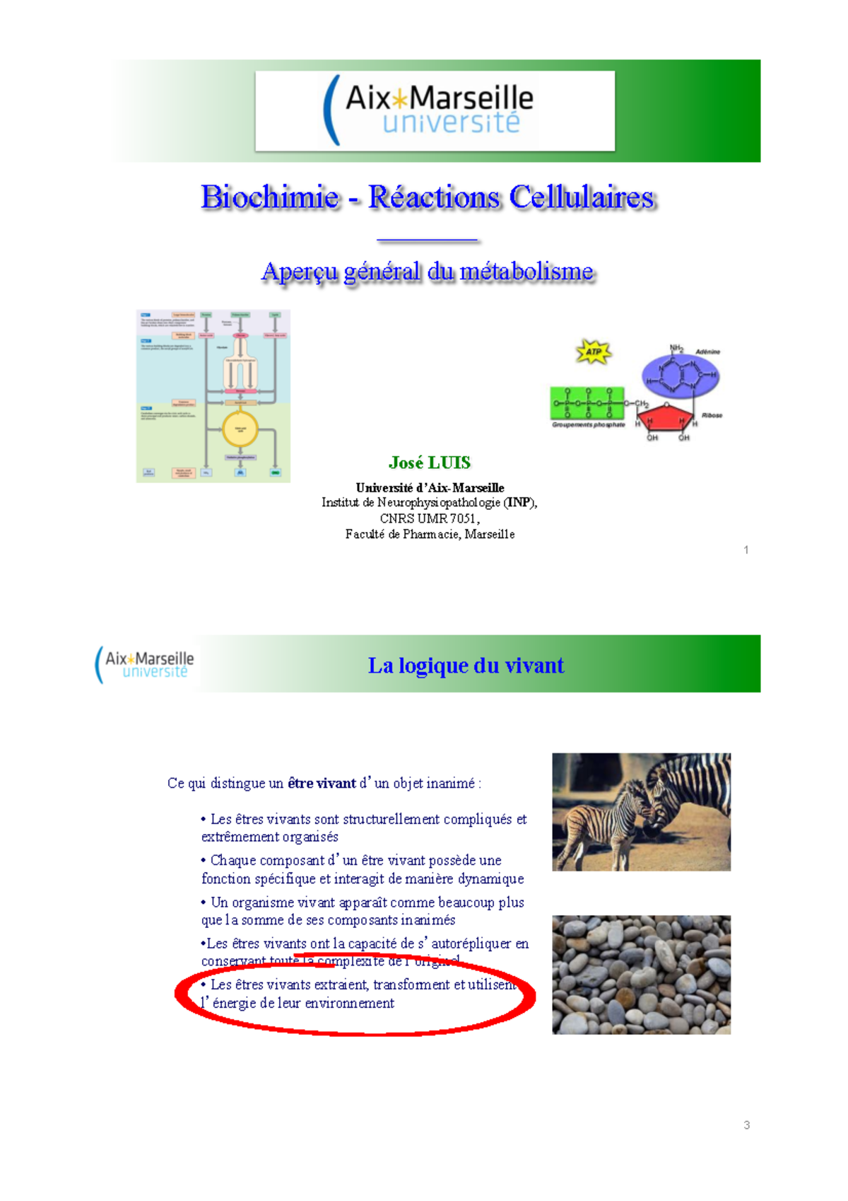 Biochimie RC - Métabolisme (EAD) - Figures - Biochimie - Réactions ...