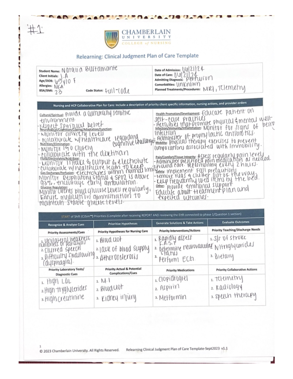 Chamberlain 3 - This will help with the assignments - CHAMBERLAIN ...