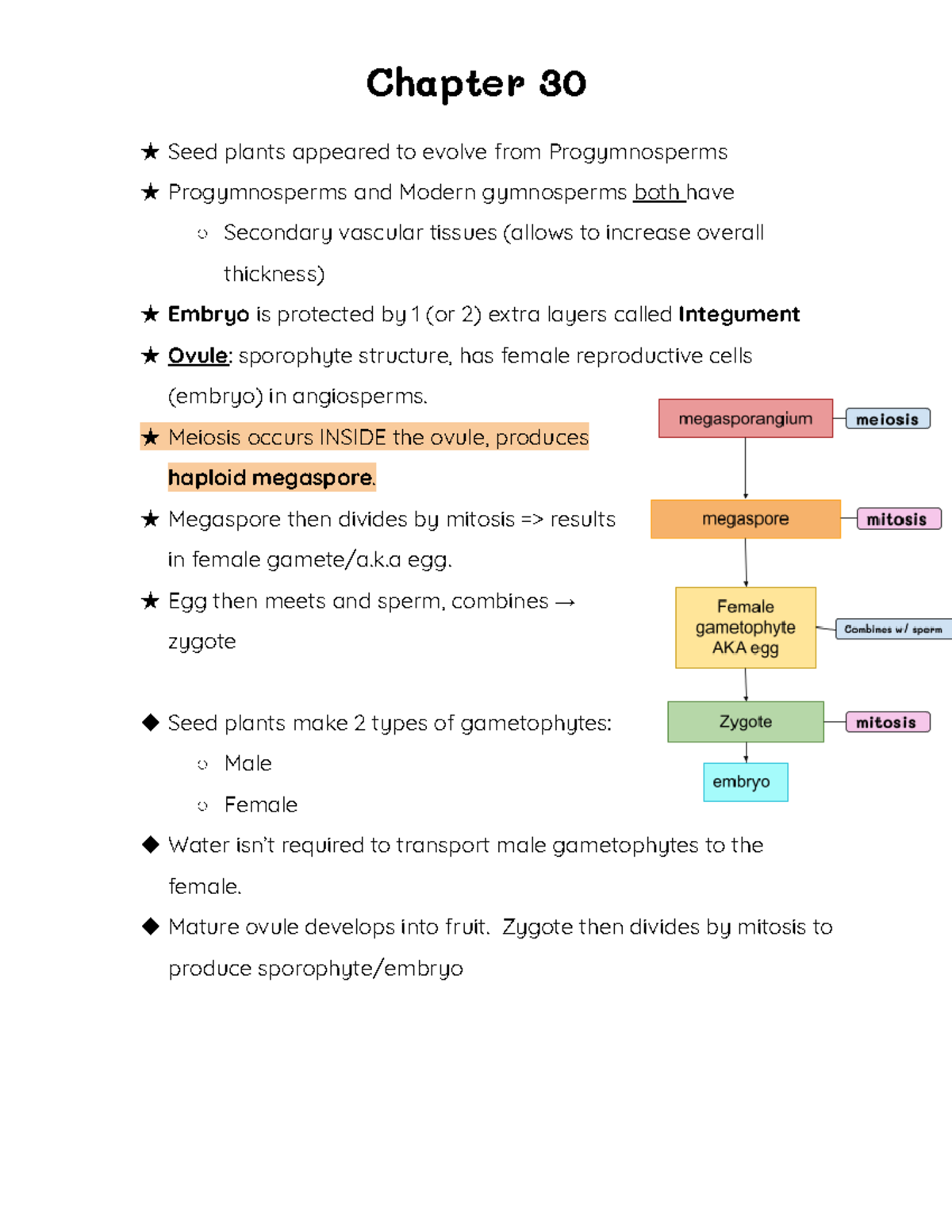 Chapter 30: Seed Plants Summary - Biology - ★ Seed plants appeared to ...