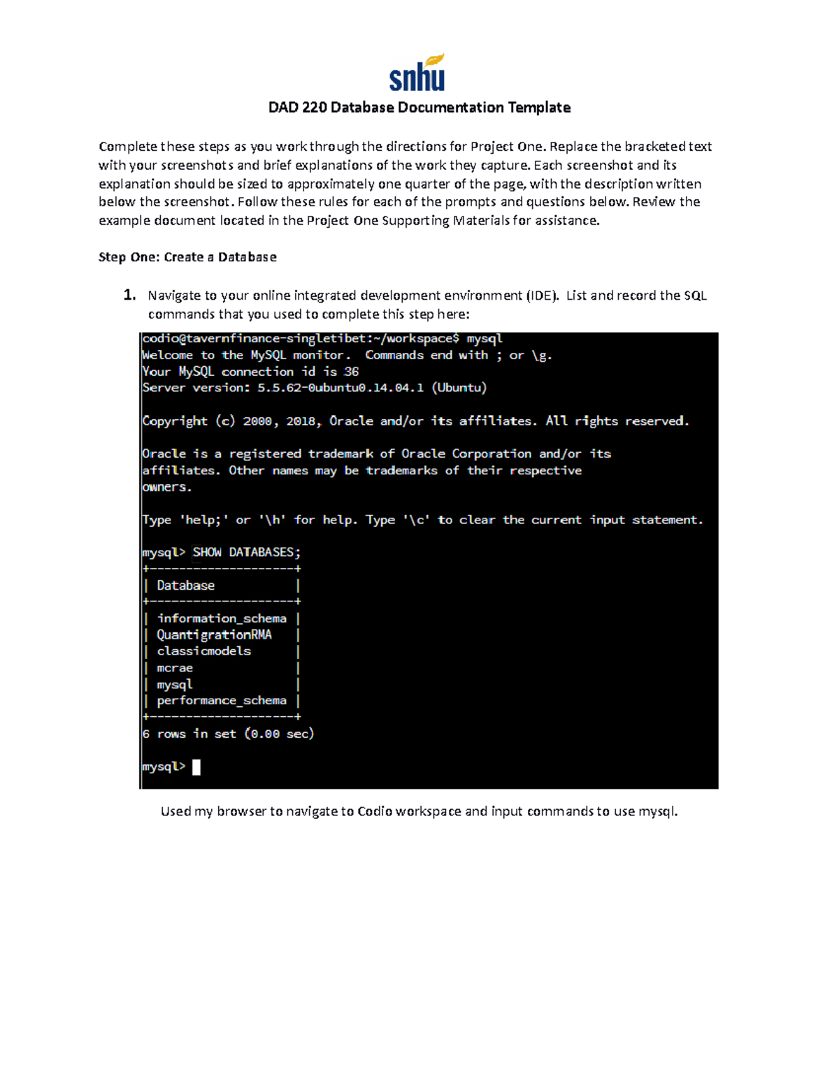 DAD Mc Rae Project - DAD 220 Database Documentation Template Complete ...