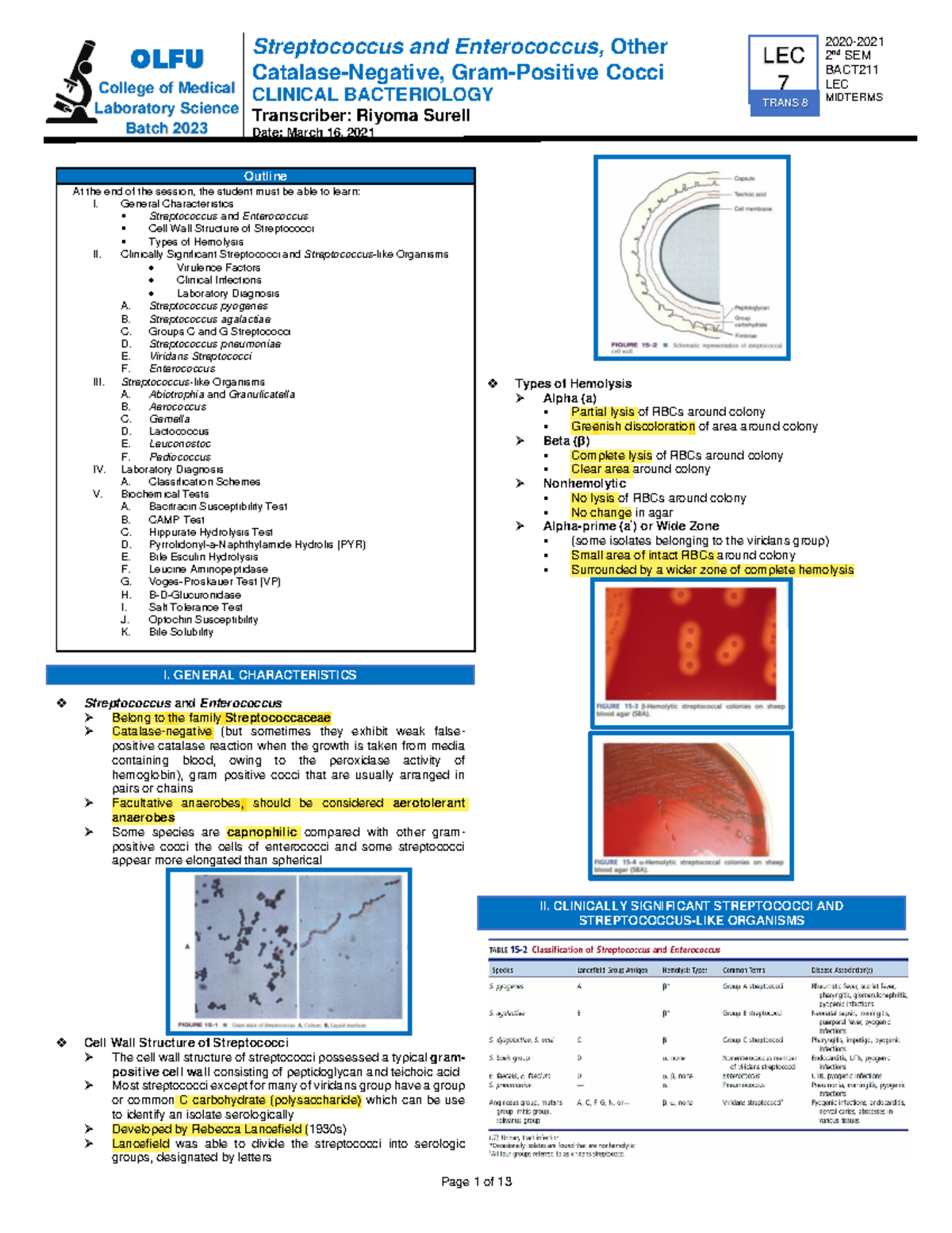 BACT LEC 8 Trans - none - Streptococcus and Enterococcus, Other ...