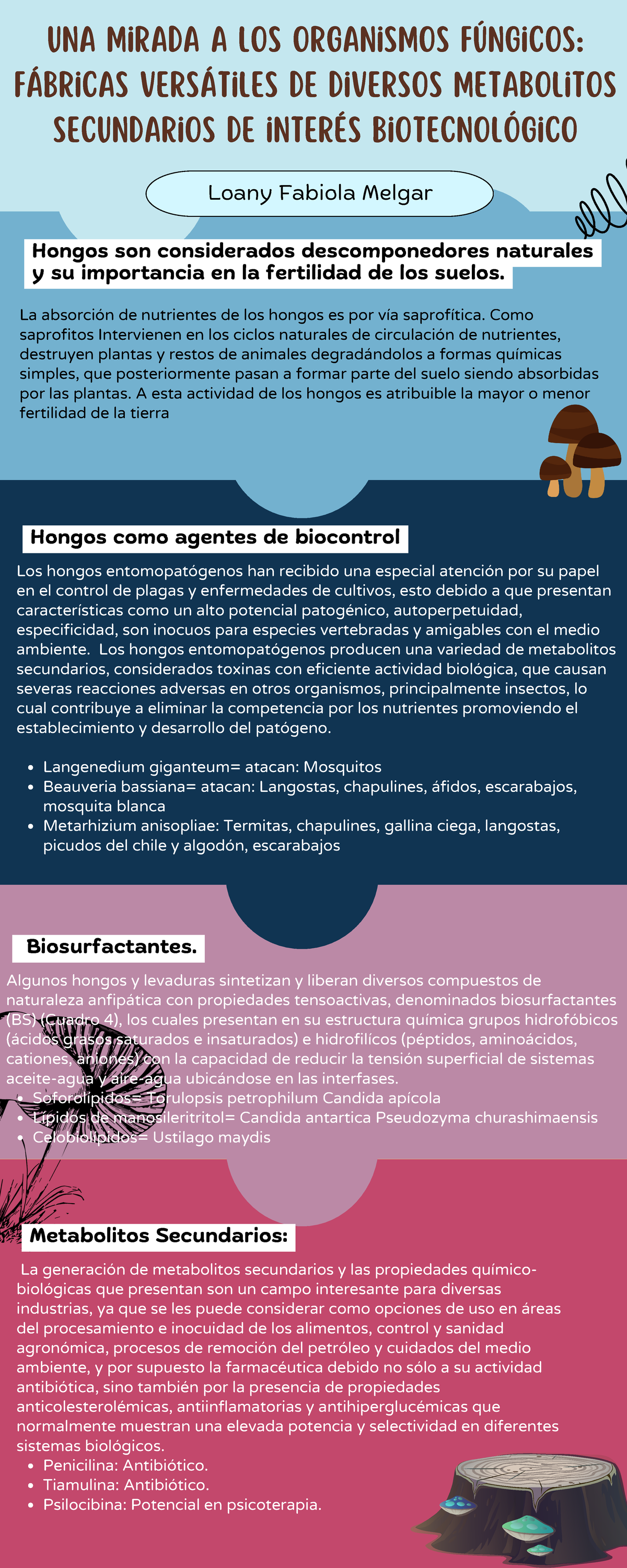 U2T2actividad 1.pdf - Loany Fabiola Melgar Hongos como agentes de ...