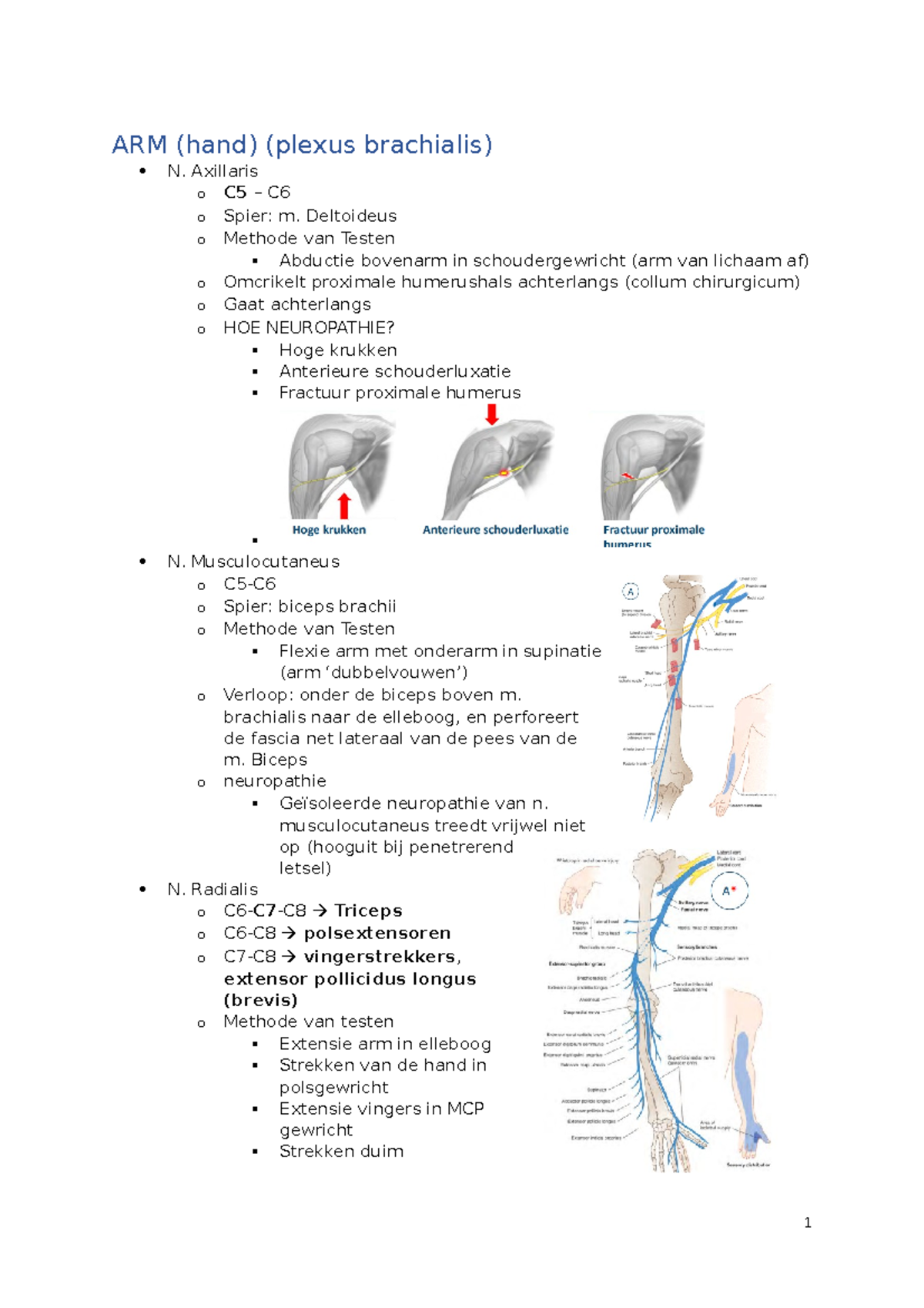 Perifere zenuwen - ARM (hand) (plexus brachialis) N. Axillaris o C5 – C ...