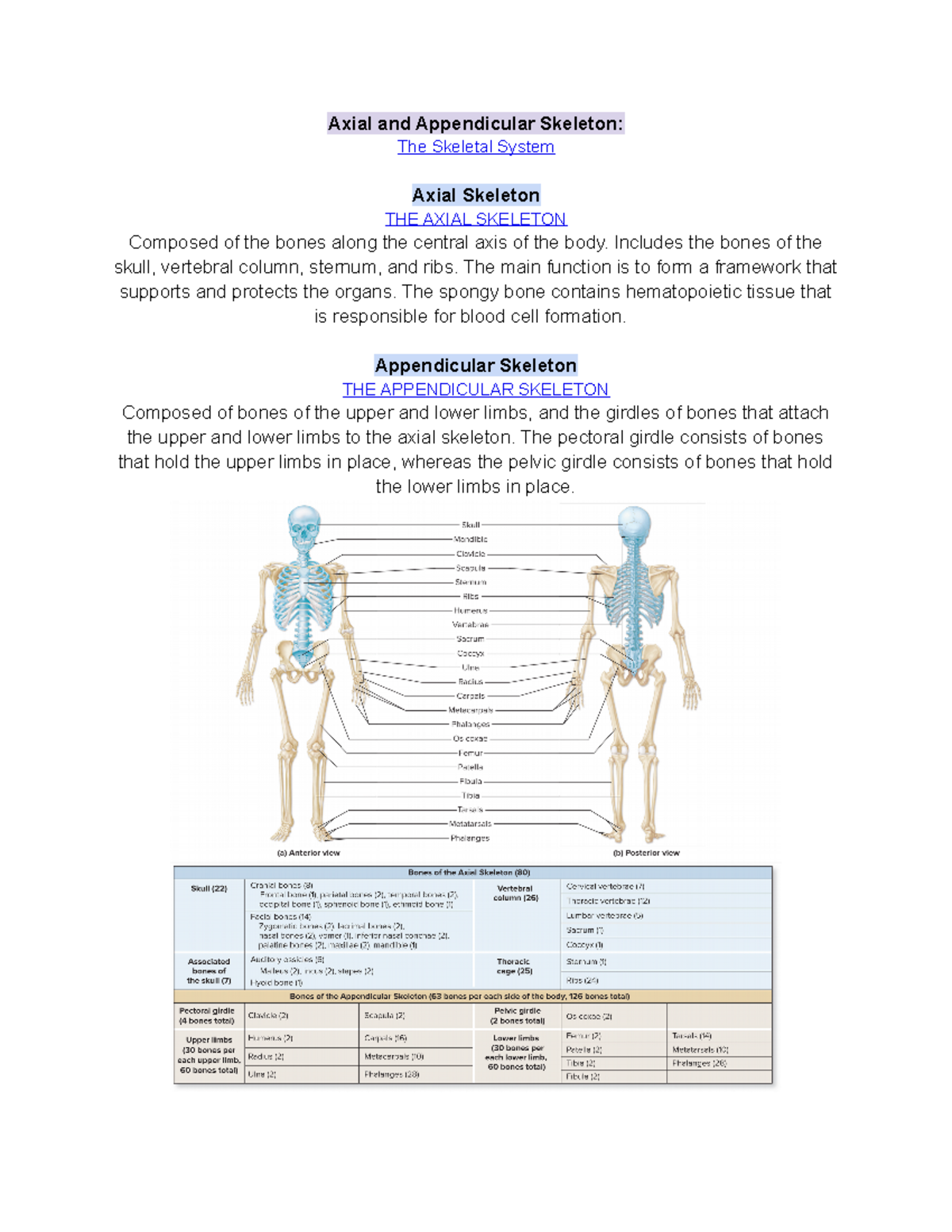 Components of the Skeleton - Axial and Appendicular Skeleton: The ...