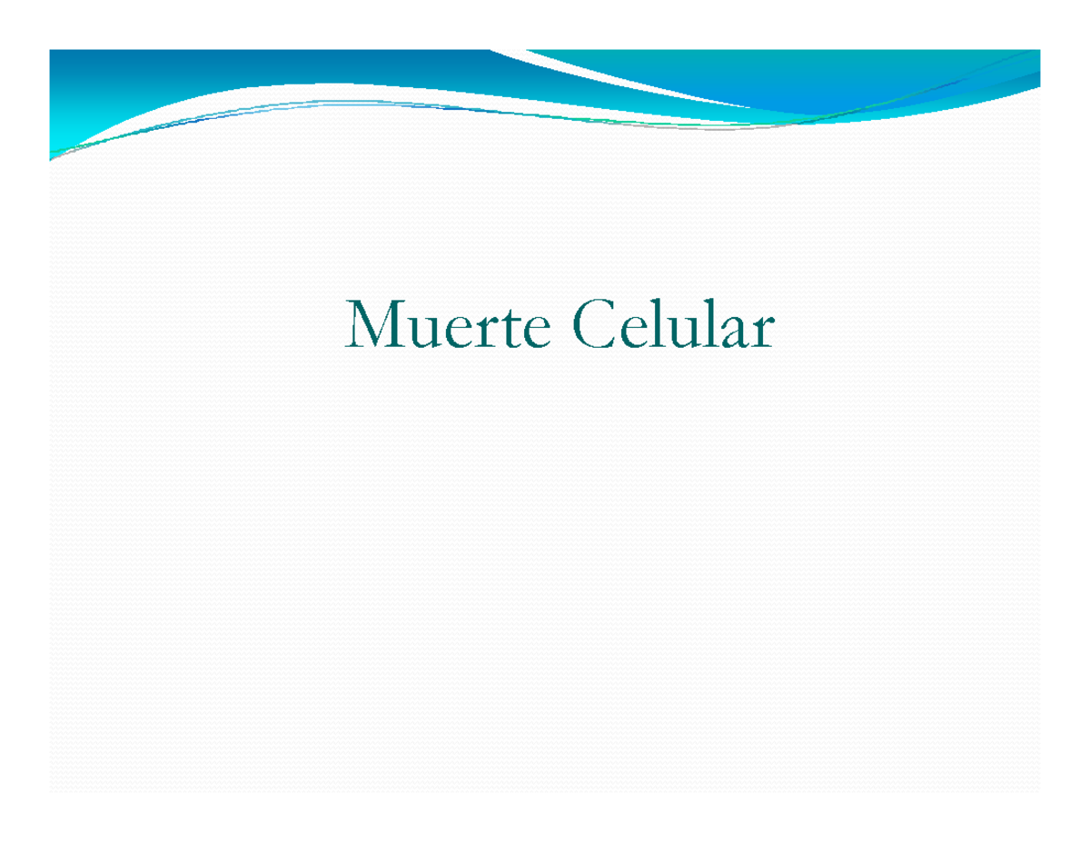 Muerte Celular - Muerte Celular Contexto social de un tejido Apoptosis ...