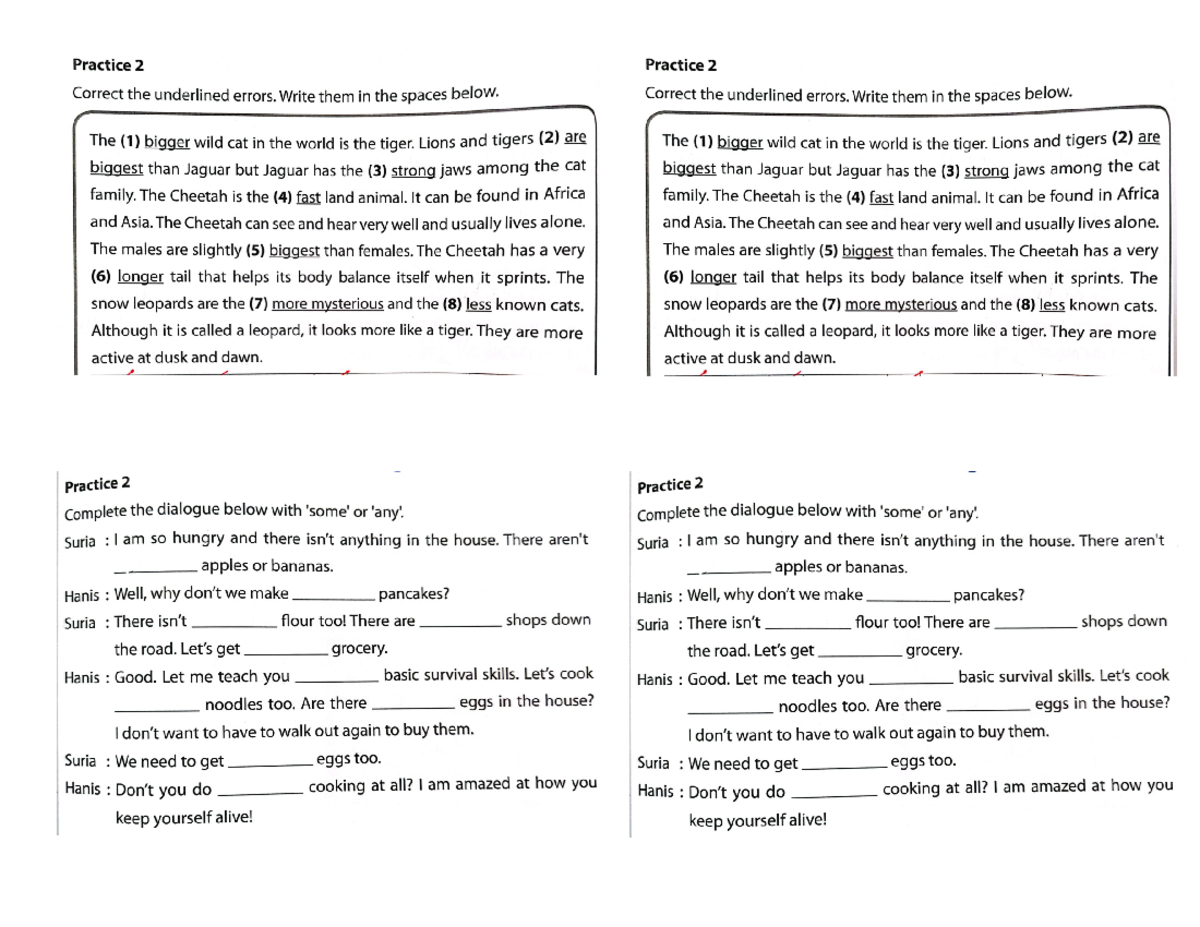 Countable and uncountable nouns - Foundation English - Studocu
