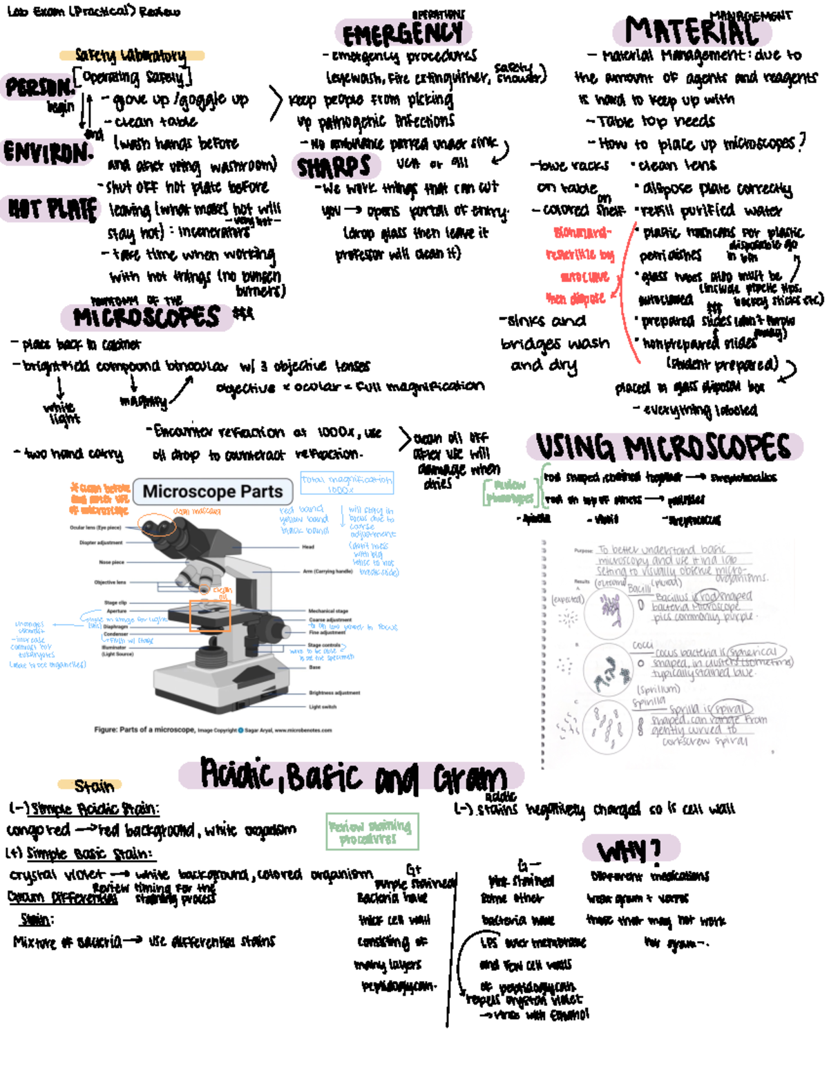 Microbiology Laboratory Notes - Lab Exam (Practical) Review OPERATIONS ...