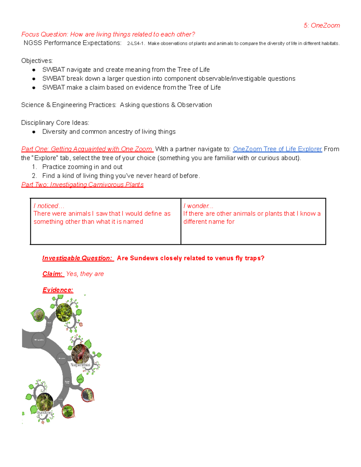 Copy of 5- One Zoom - Tree of Life - 5: OneZoom Focus Question: How are ...