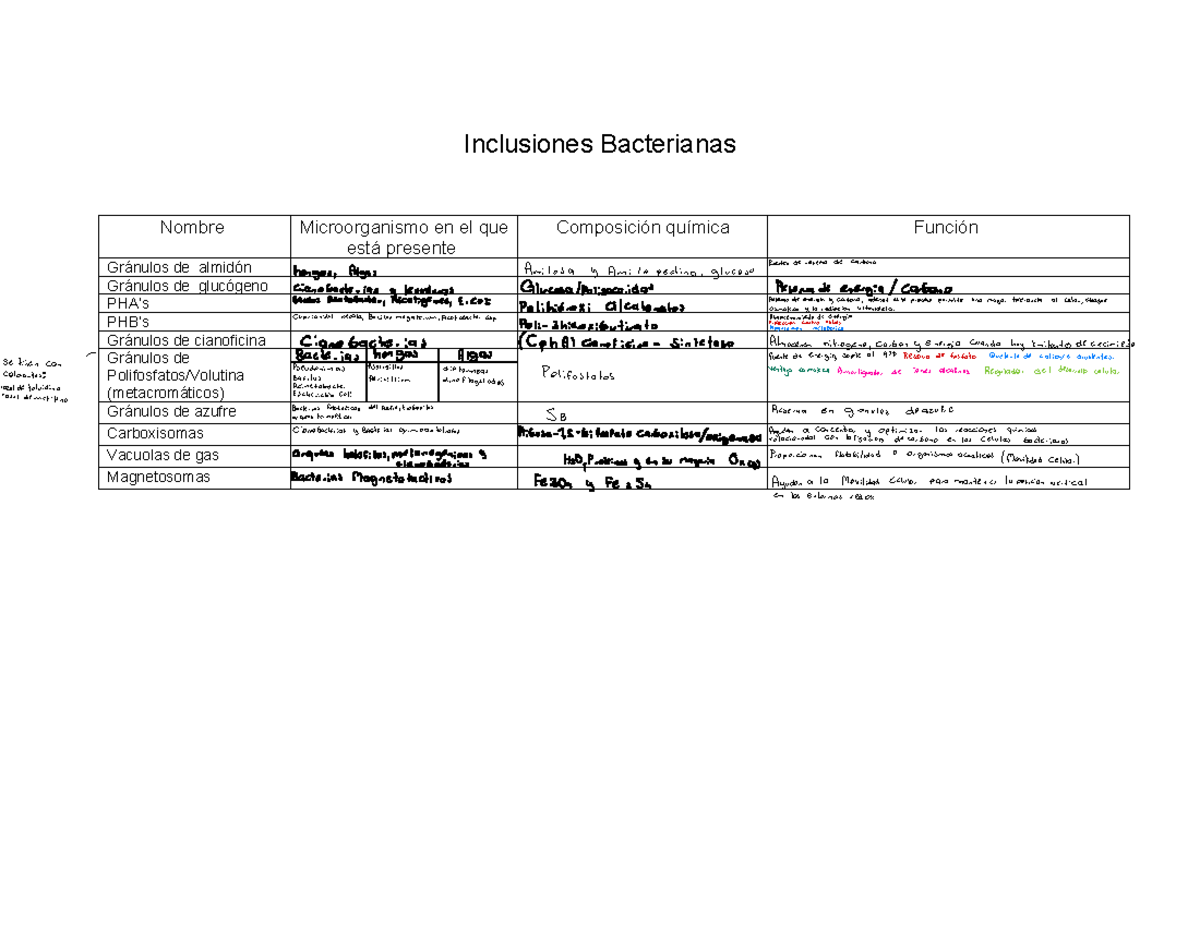 Yael Alejandro Araujo Lugo - Inclusiones Bacterianas Nombre ...
