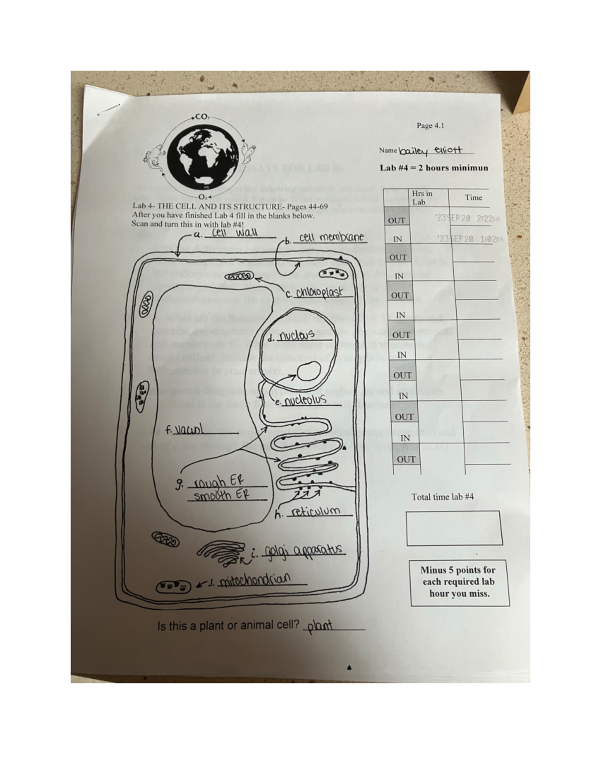 Lab #4 - lab #4 - BIO 211 - Studocu