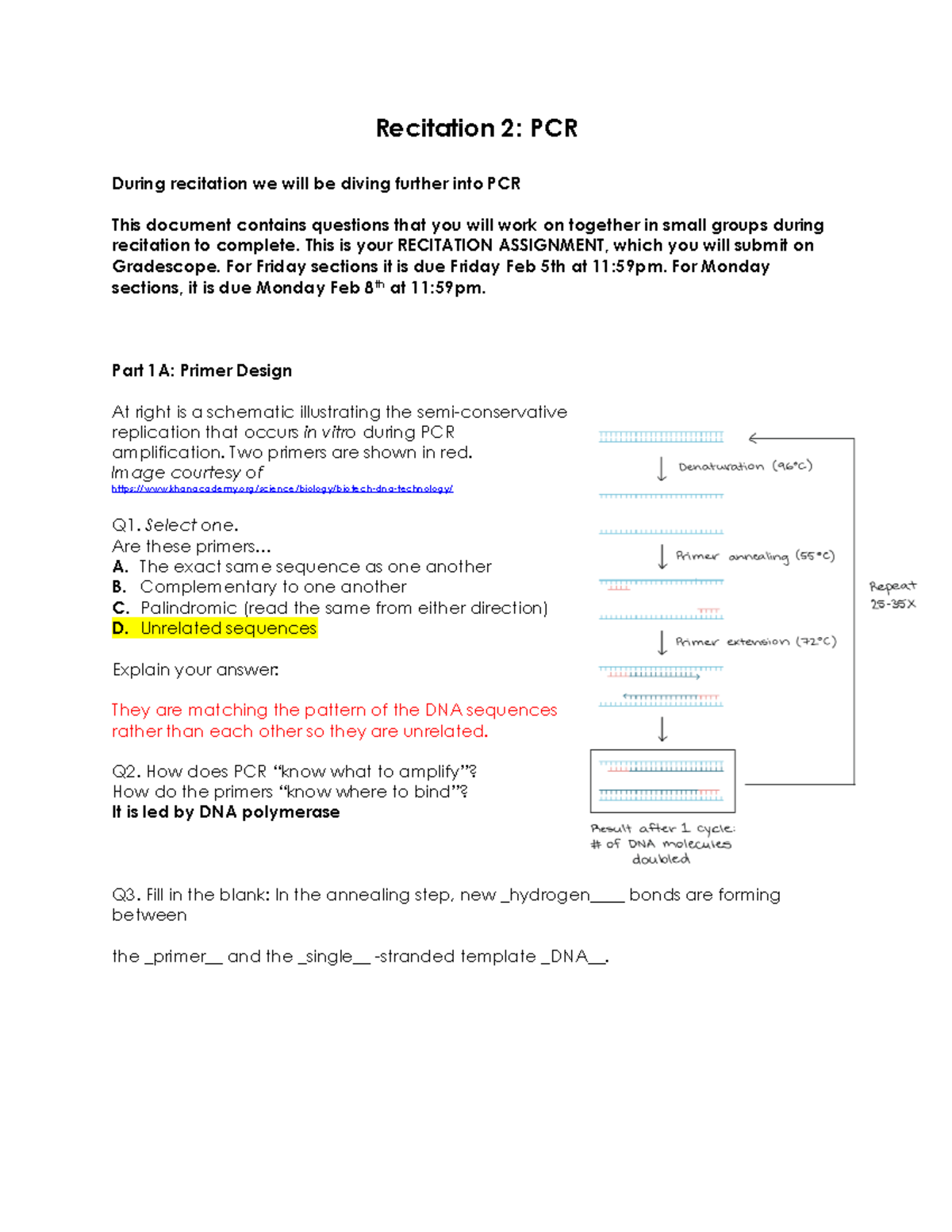PCR class assignment Recitation 2 - Recitation 2: PCR During recitation ...