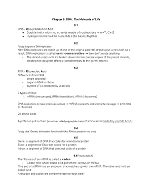 Chapter 5 - Chapter 5 46 chromosomes - 44 autosomes (body cells) - 2 ...
