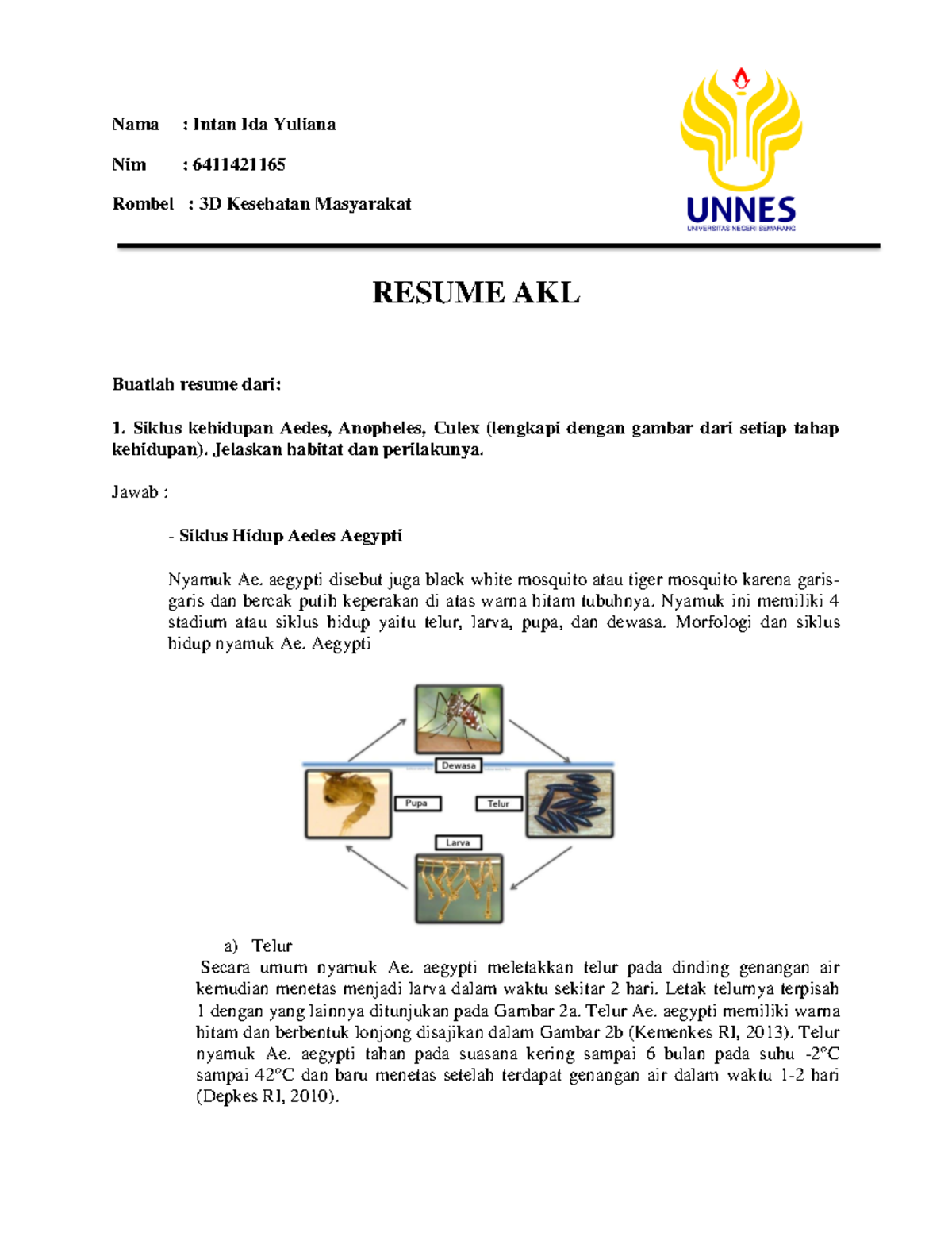 Vektor 3D Kesehatan Masyarakat 6411421165 Intan Ida Yuliana - Nama ...