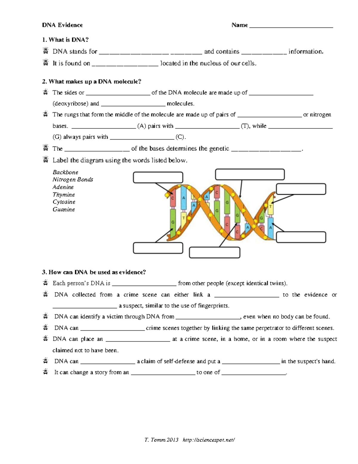 DNABasicswkst - T. Tomm 2013 sciencespot/ DNA Evidence Name __________________________ 1. What ...