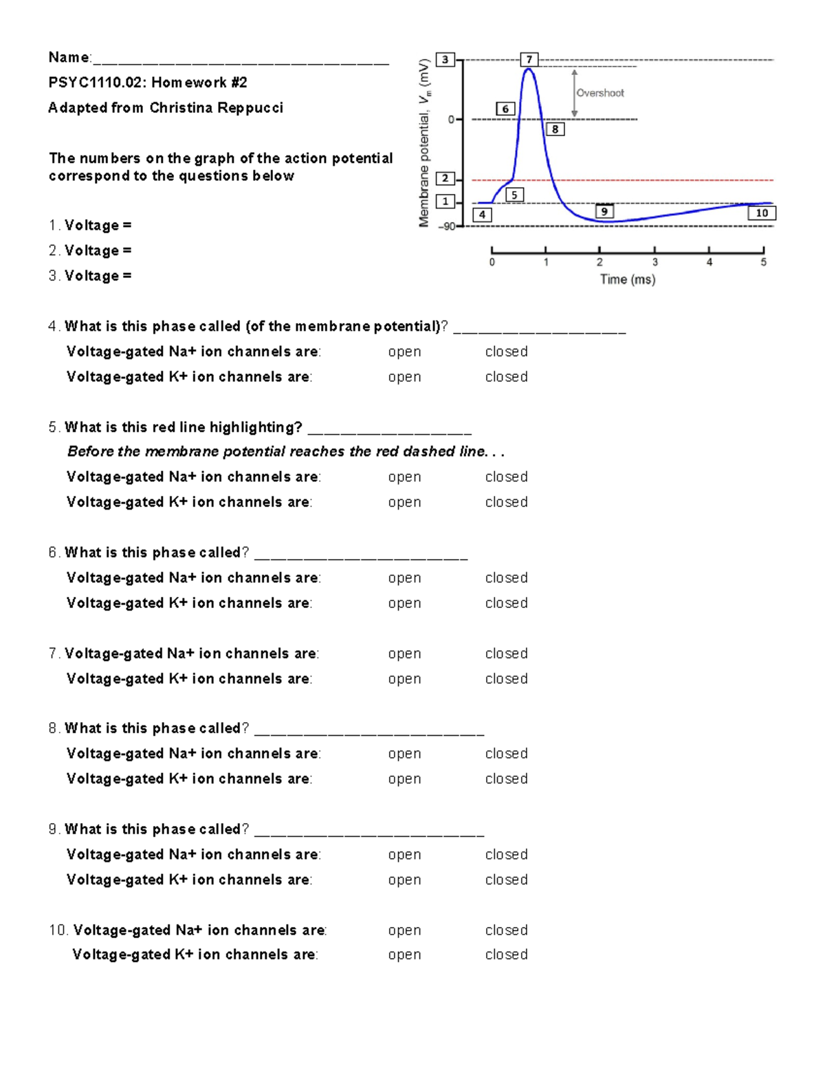 1110 Homeowrk #2 Action Potential Worksheet - Name ...