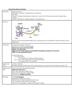 Sketchy Micro - Staph Aureus (Grape-granule golden) Grows on blood agar ...