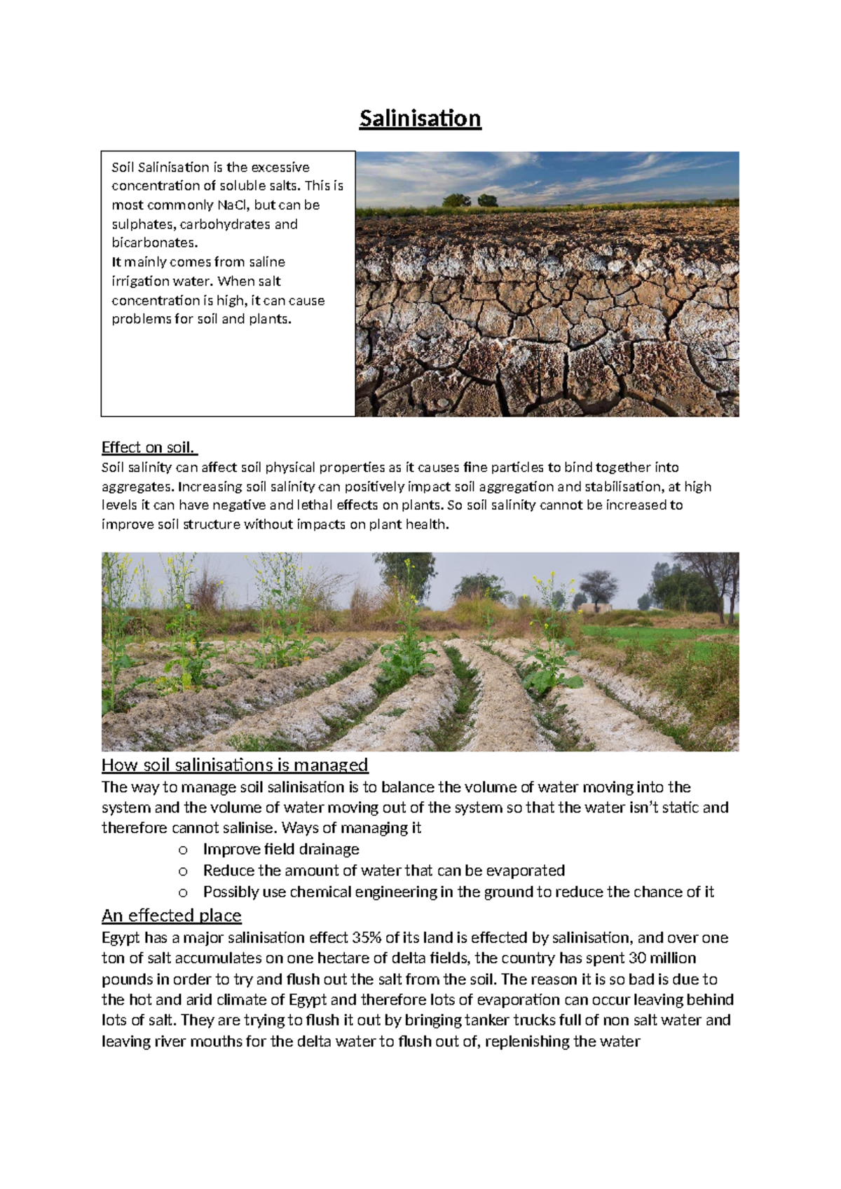 Salinisation case study - Salinisation Effect on soil. Soil salinity ...