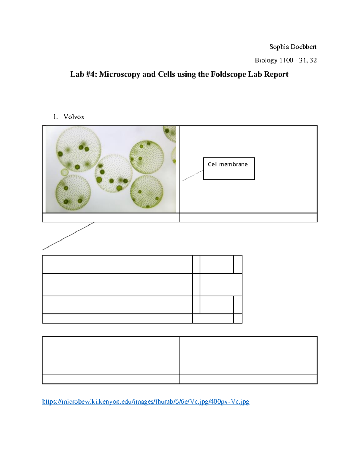 Lab #4 Microscopy and Cells using the Foldscope Lab Report - - Studocu