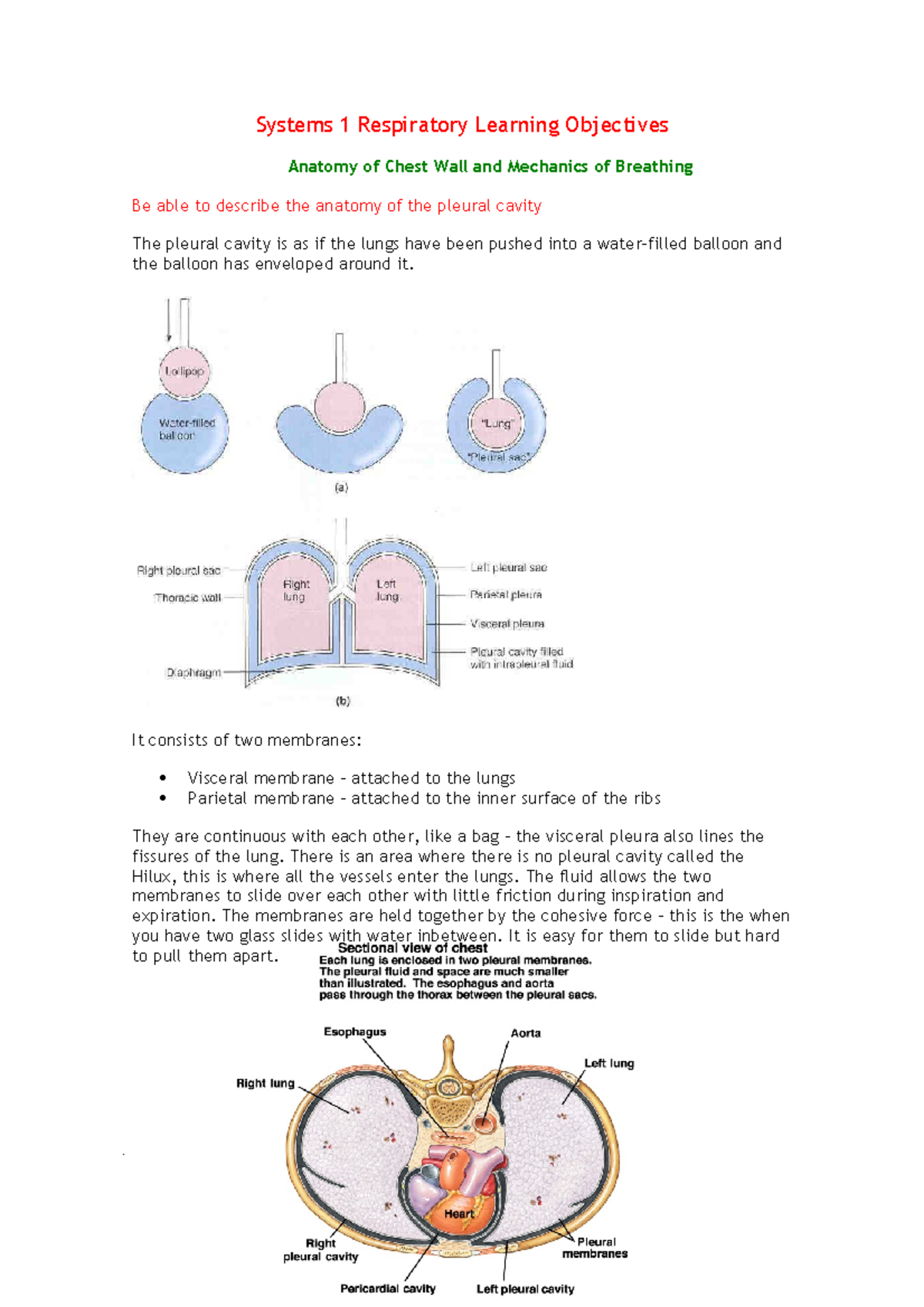 Systems 1 Respiratory Learning Objectives - Systems 1 Respiratory ...