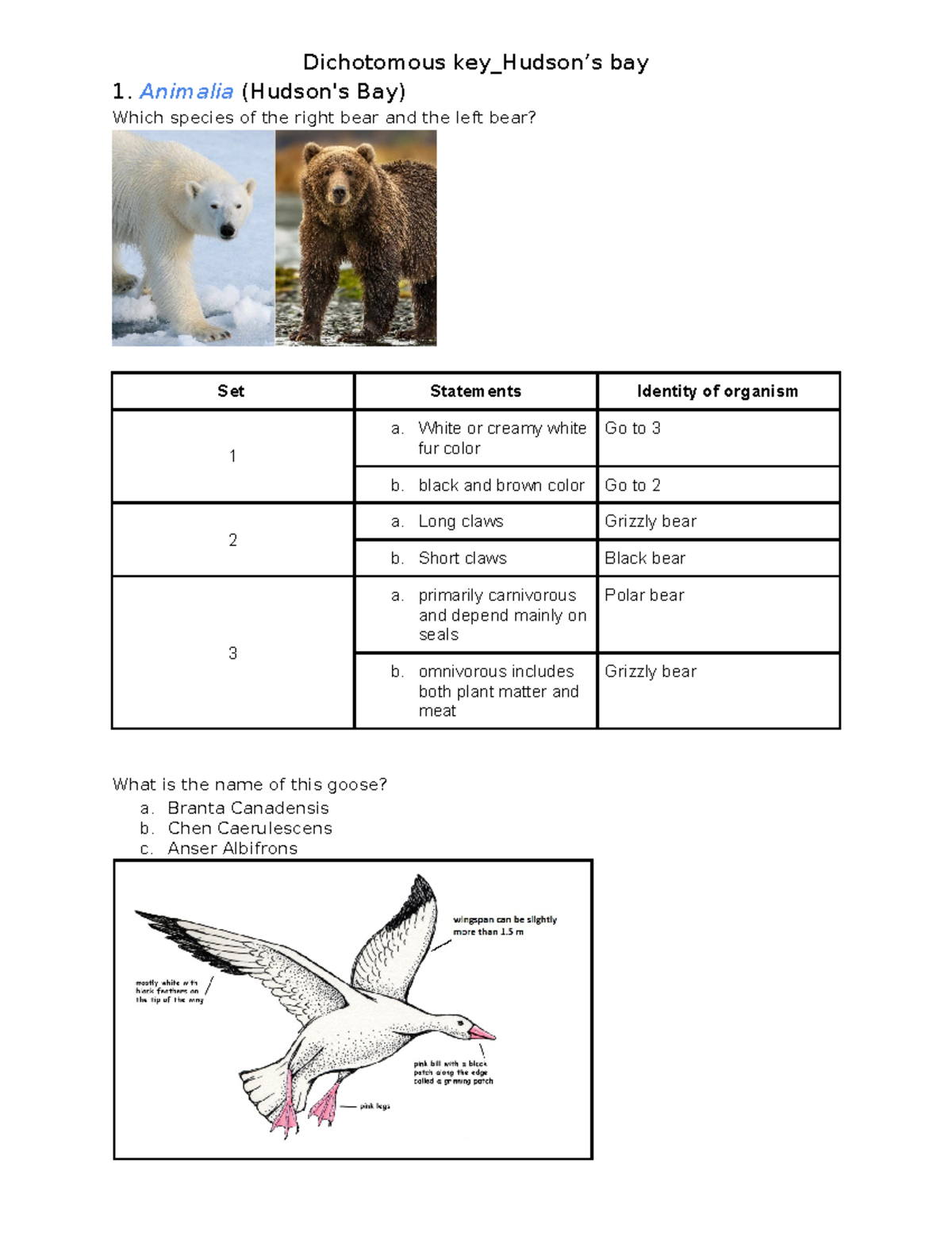 Classifying organisms Ecozone dichotomous key - Dichotomous key_Hudson ...