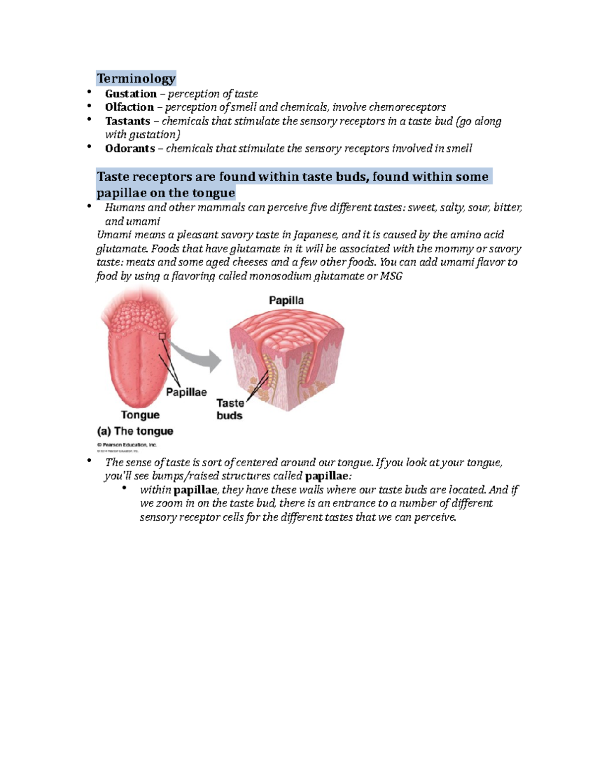 Taste and smell - Terminology Gustation – perception of taste Olfaction – perception of smell ...