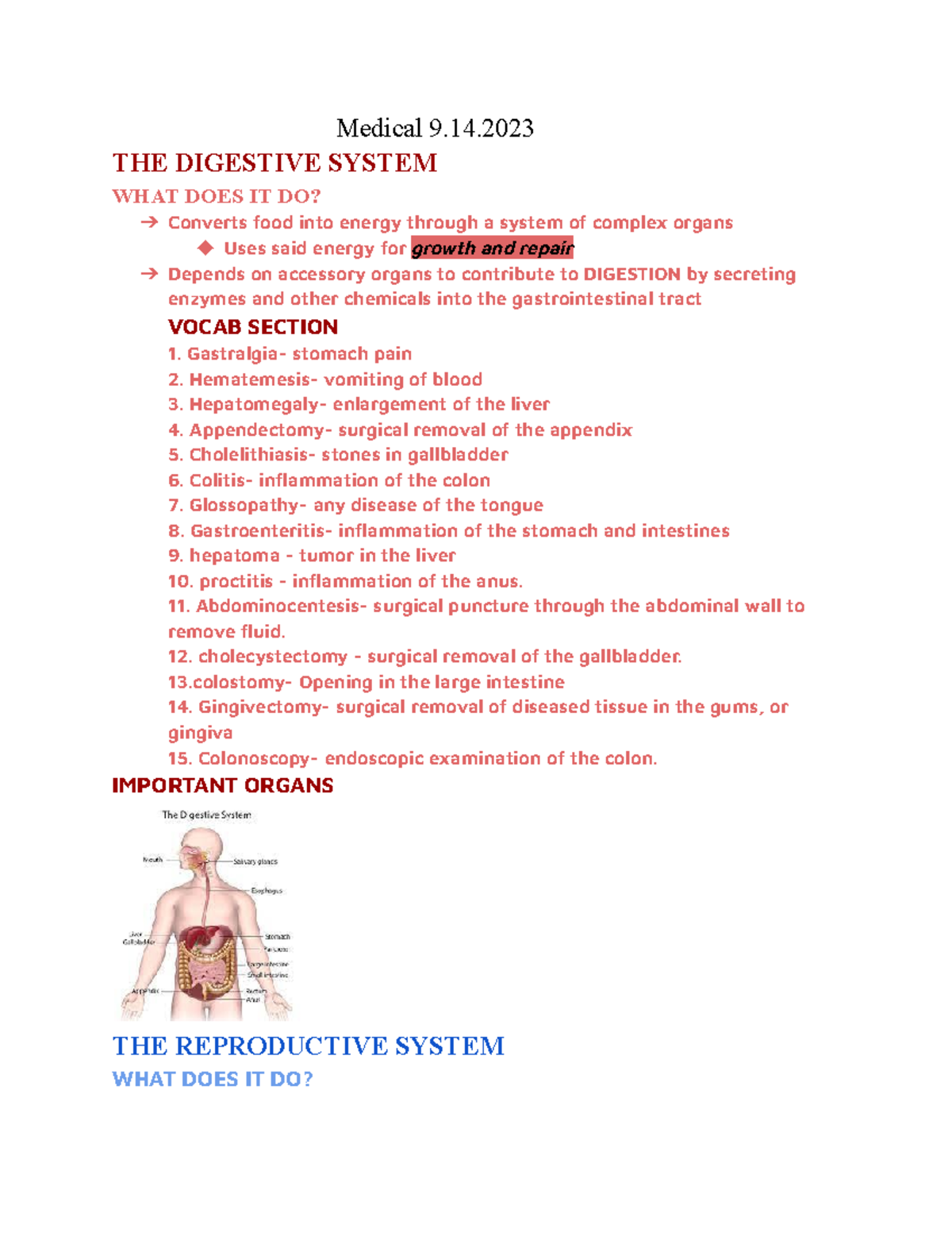 System Study Guide - Medical 9. THE DIGESTIVE SYSTEM WHAT DOES IT DO ...