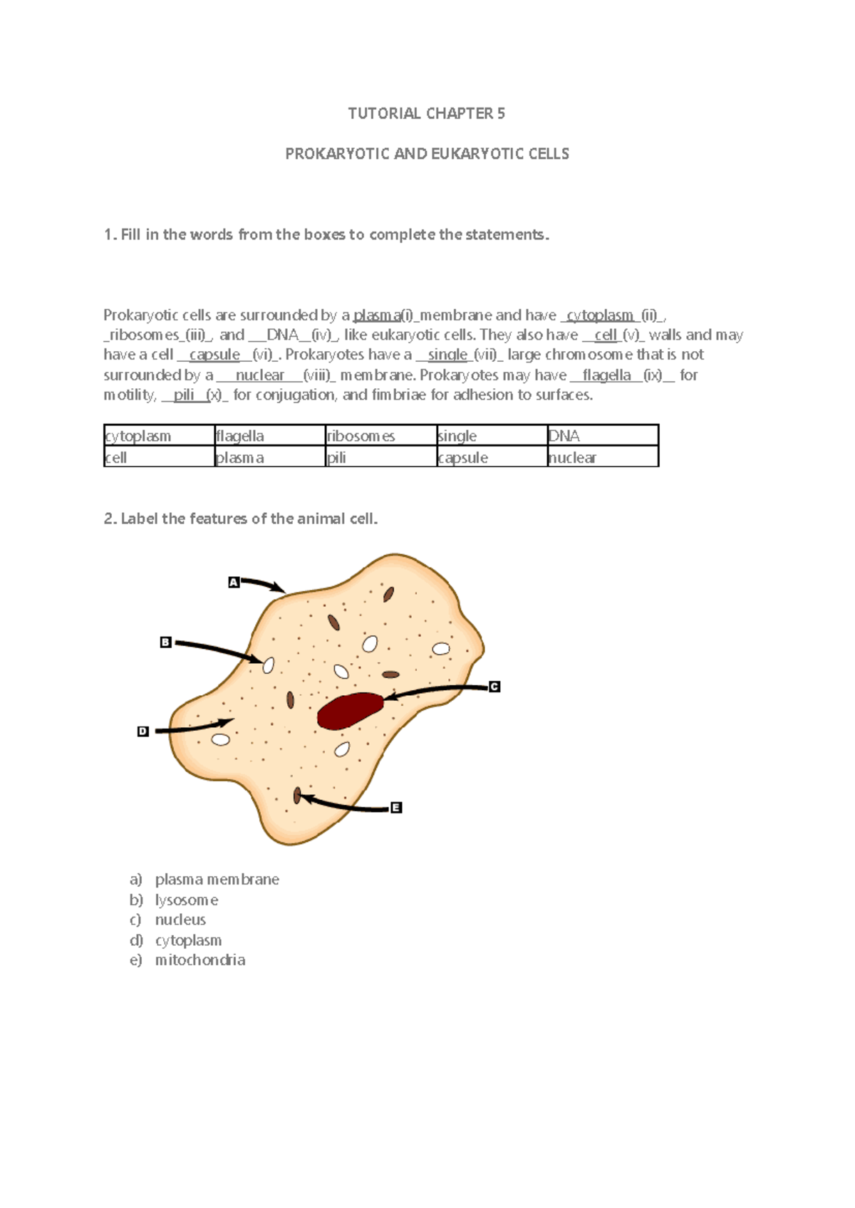 Bio tutorial week 9 - TUTORIAL CHAPTER 5 PROKARYOTIC AND EUKARYOTIC ...