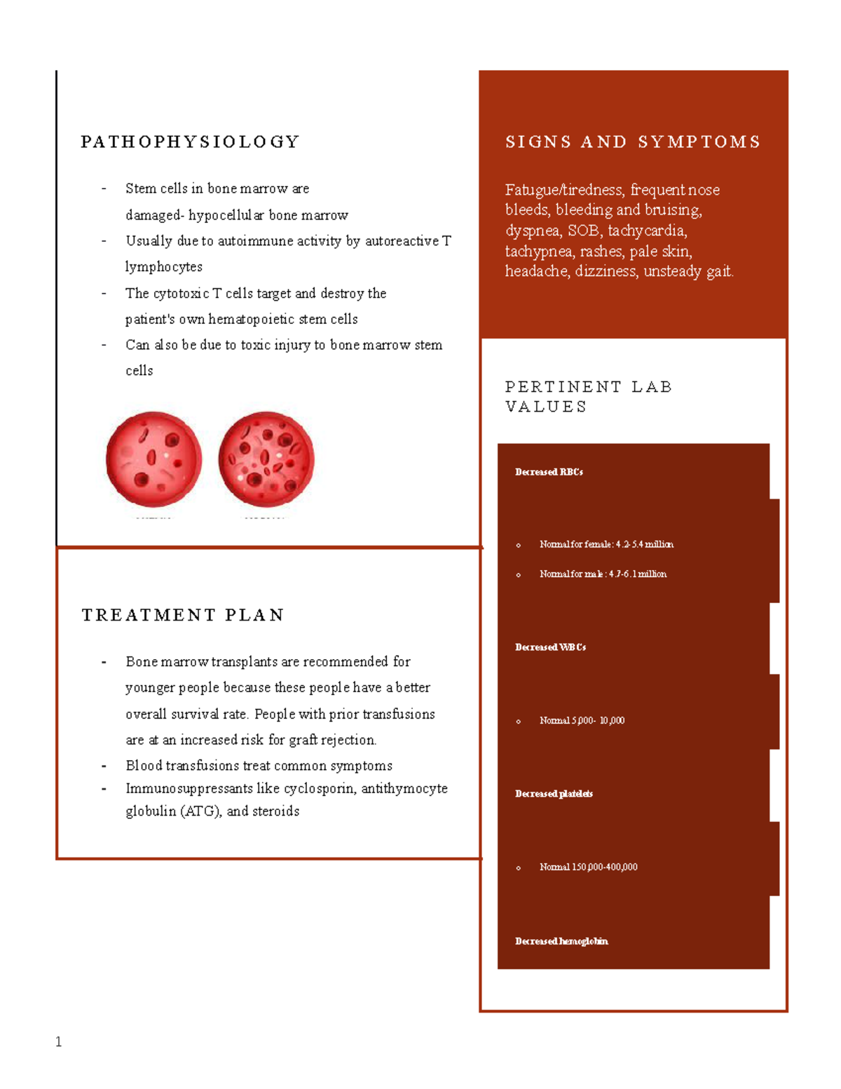 Aplastic anemia handout final version-1 - PATHOPHYSIOLOGY Stem cells in ...