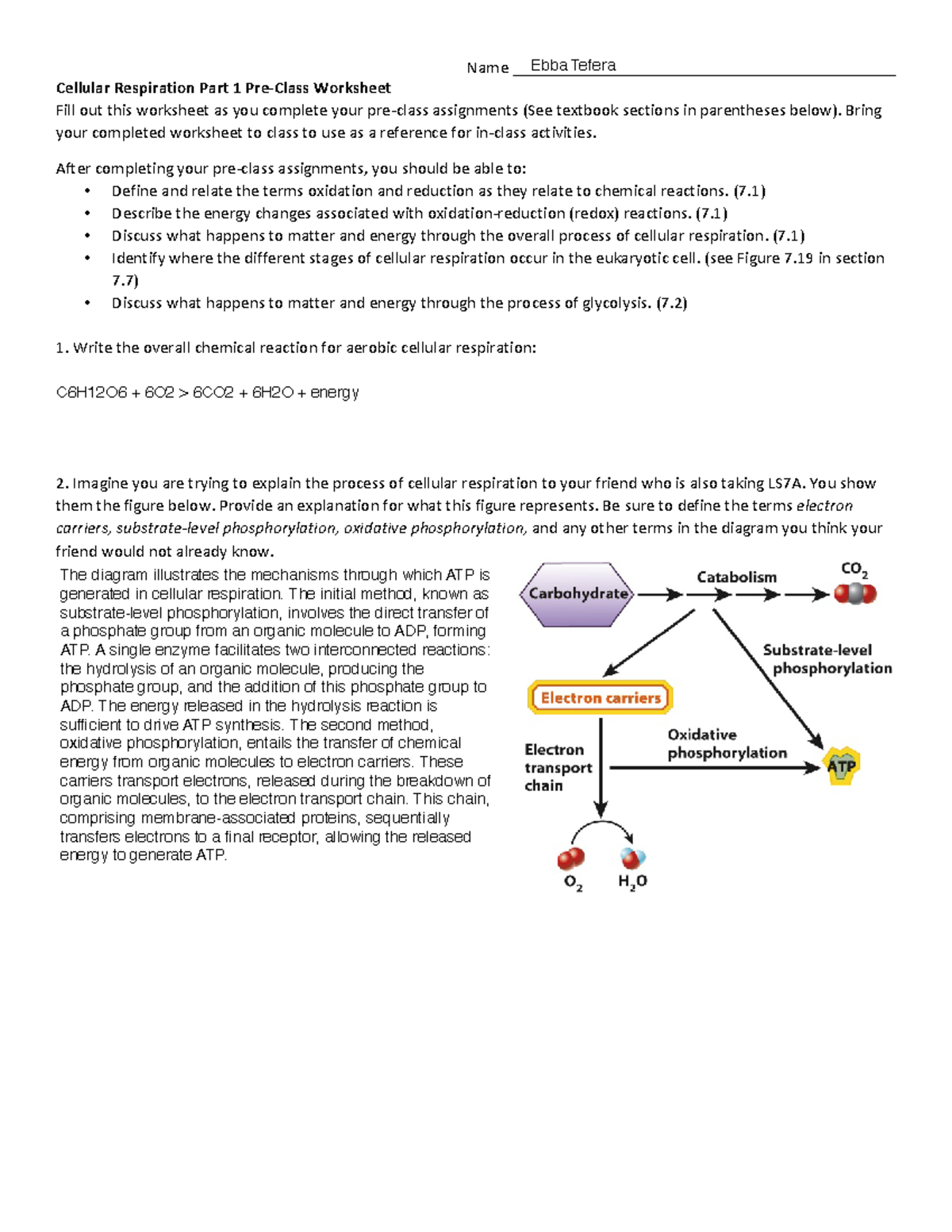 Week 3b Reading Guide LS7A - Name ...
