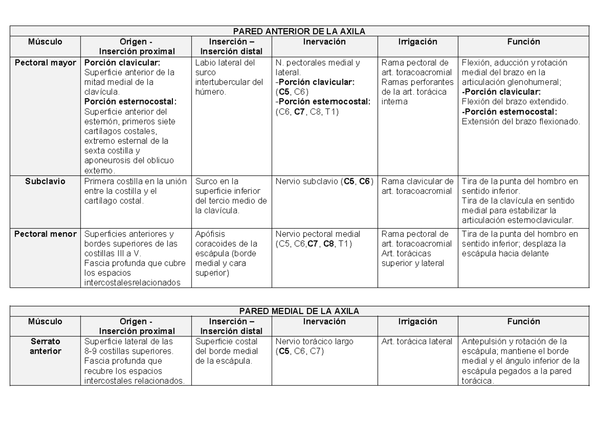 Axila - Resumen Anatomia clinica / Clinical Anatomy - PARED ANTERIOR DE ...