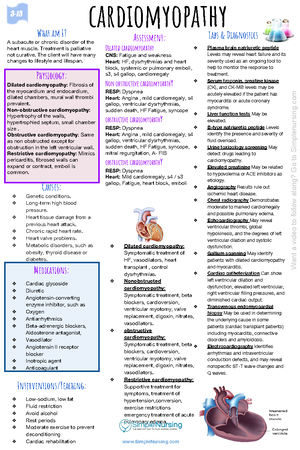 MBD Total Hamstring Flexibility - BEGINNER - INTERMEDIATE David Thurin 4 WEEKS TO TOTAL ...