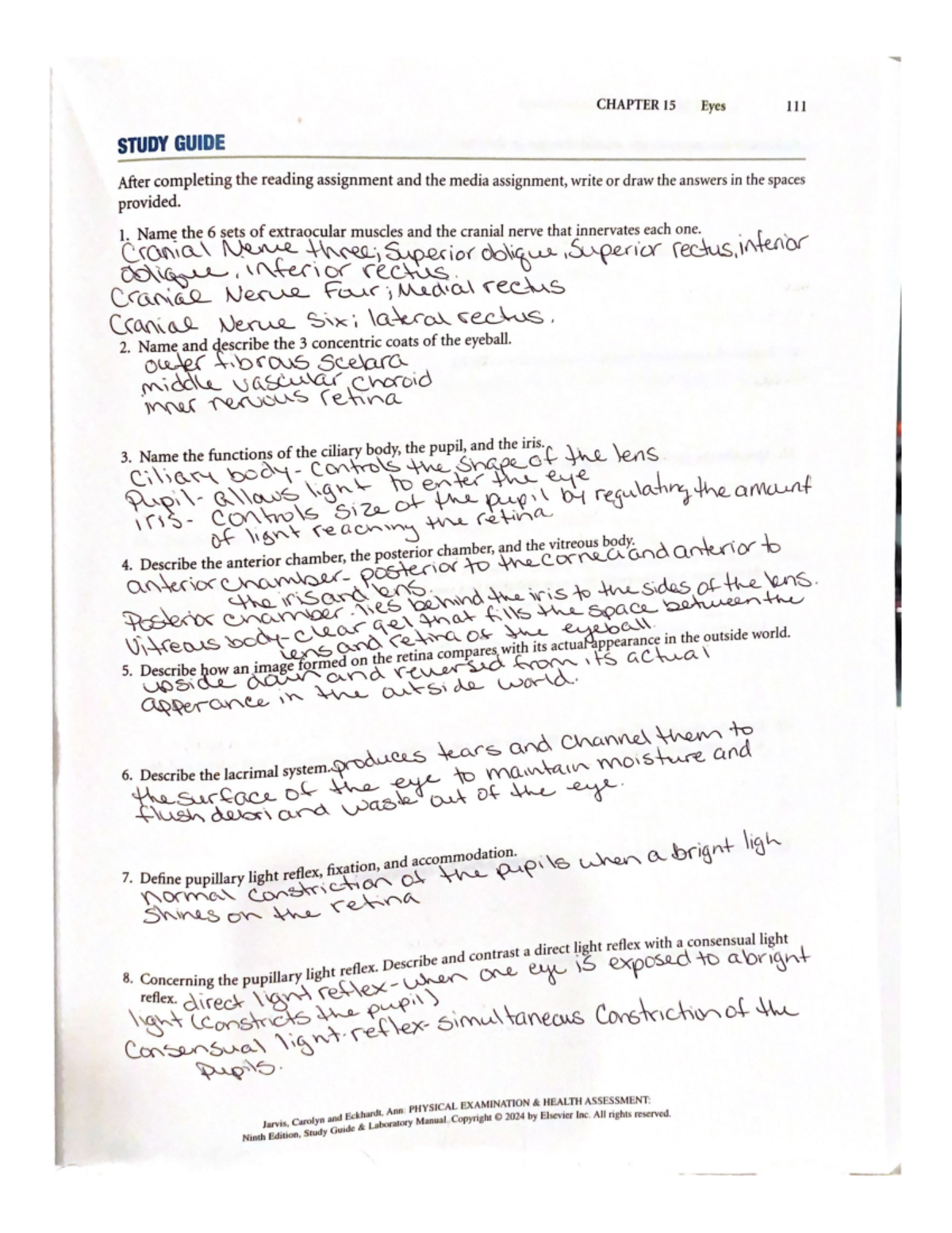 Study Guide - VOCN 161 - Studocu