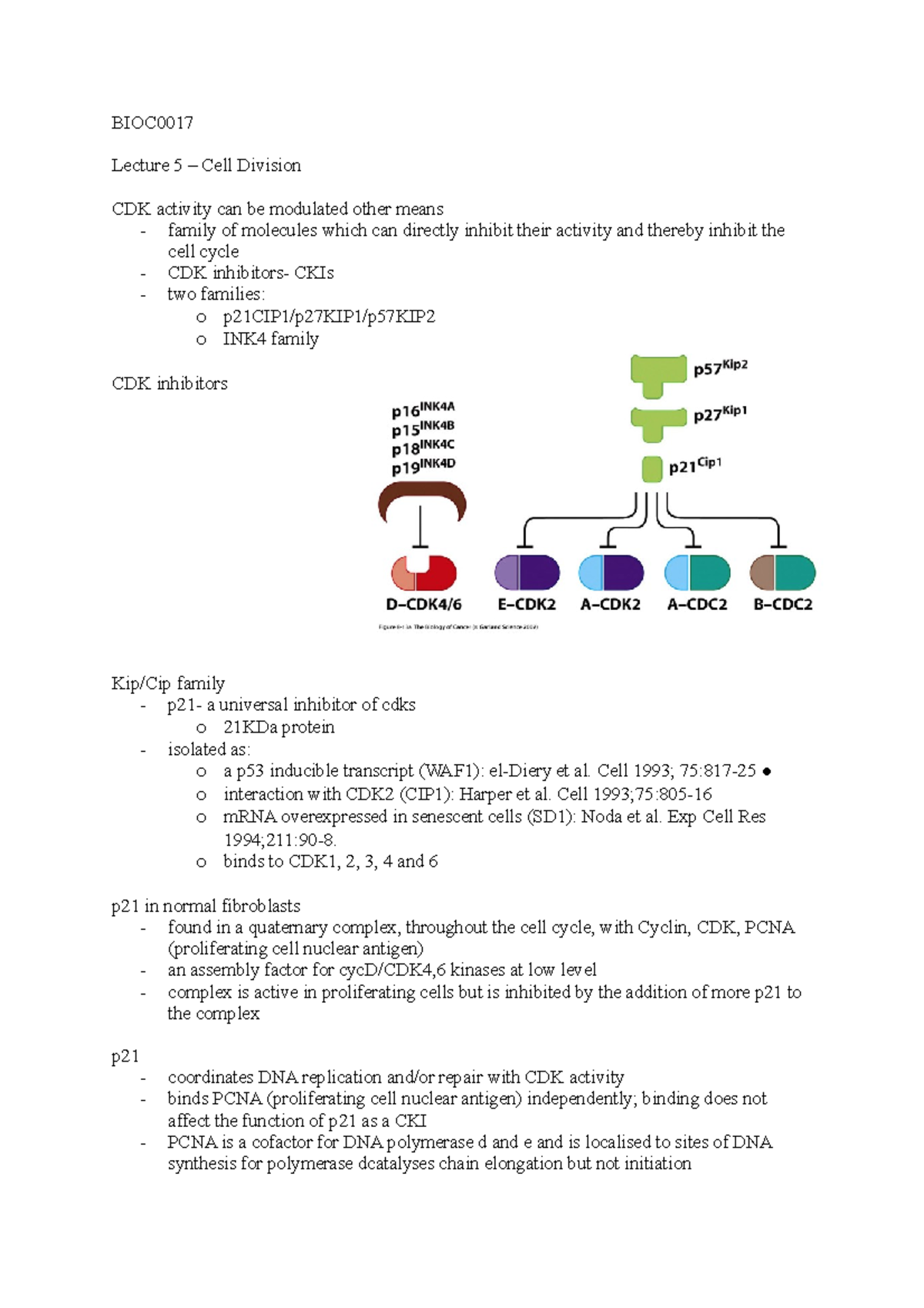 Lecture 5 b17 - BIOC Lecture 5 – Cell Division CDK activity can be modulated other means ...