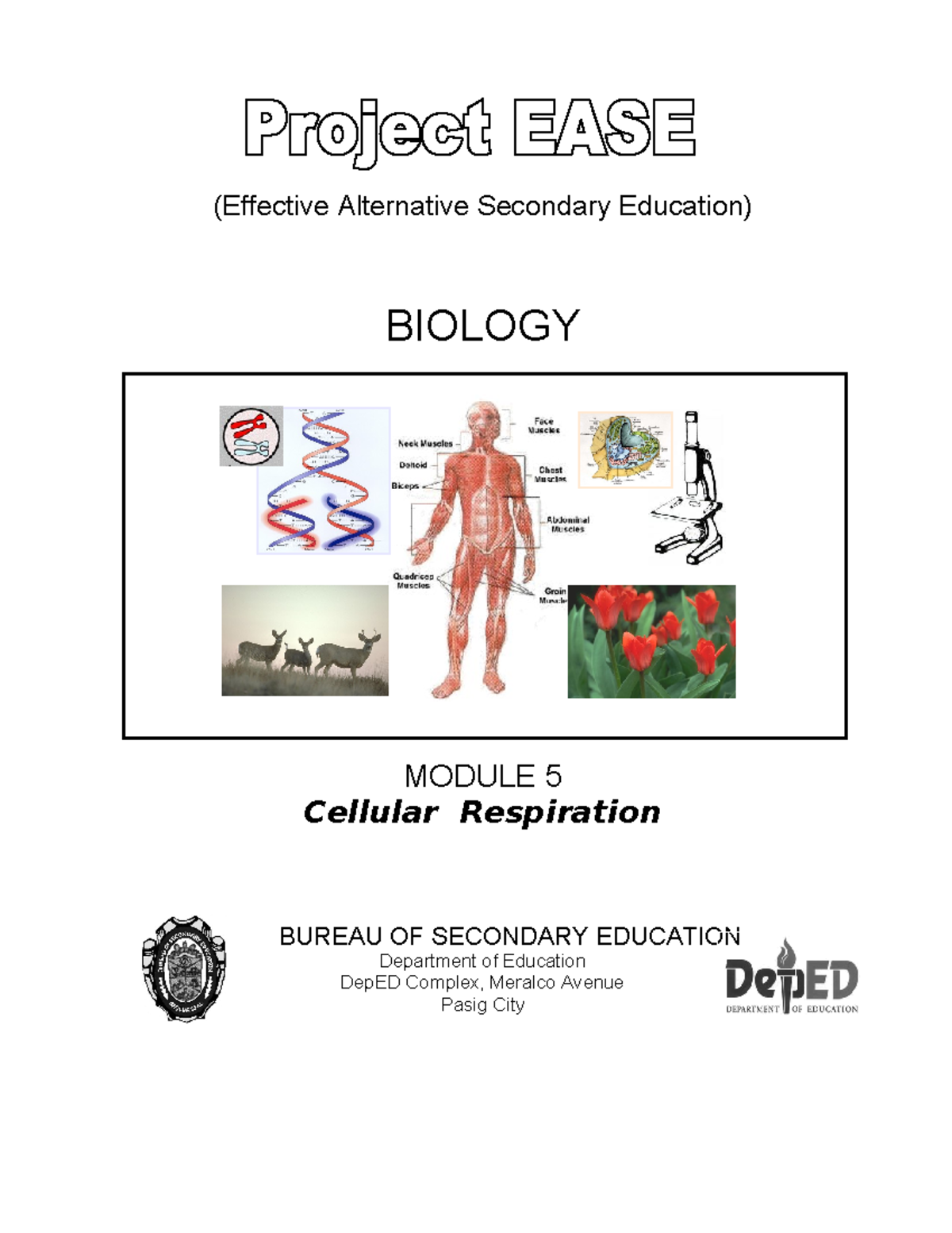 Biology M5 Cellular Respiration - (Effective Alternative Secondary ...