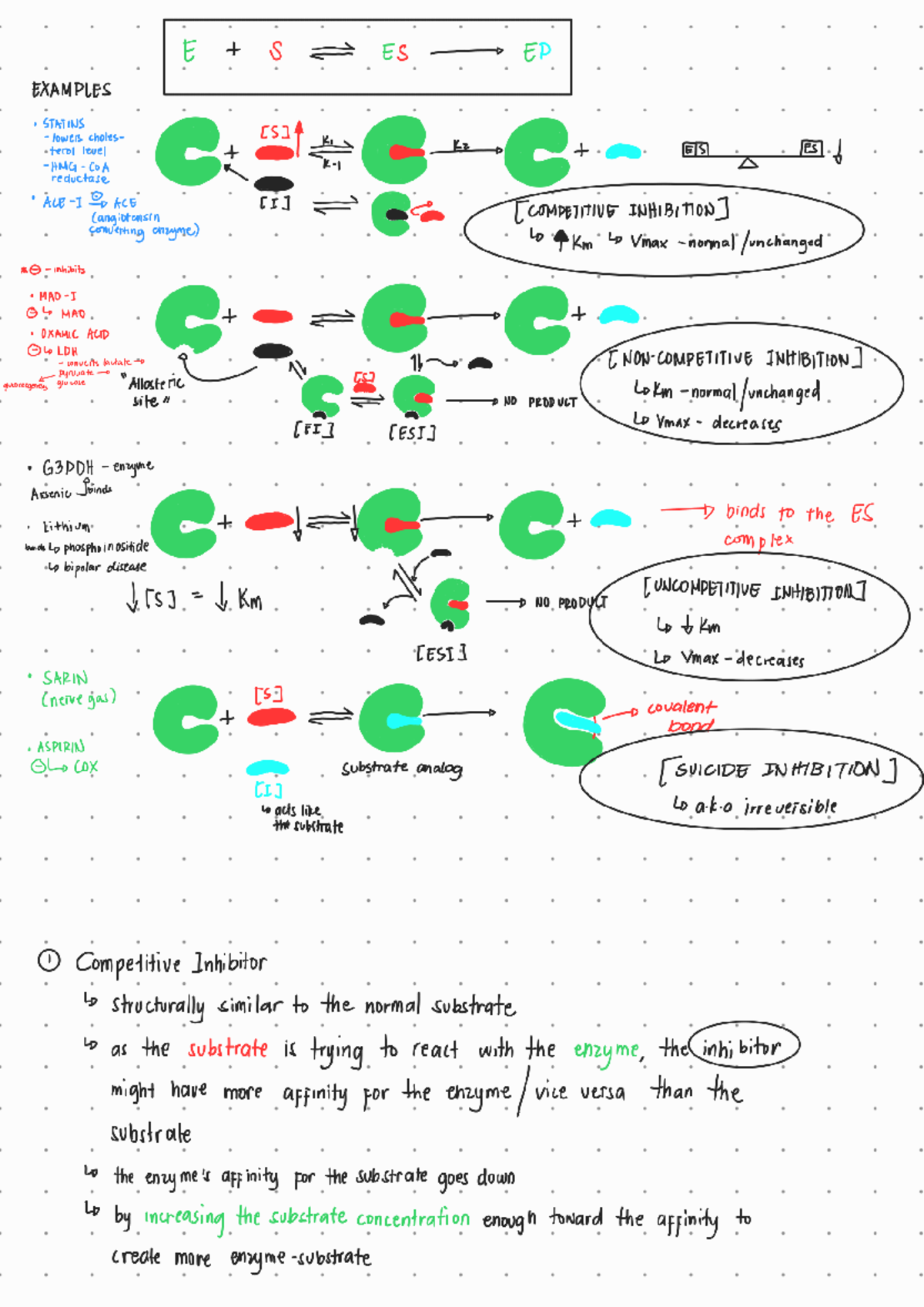 Enzyme Inhibition - Summary Biochemistry - Studocu