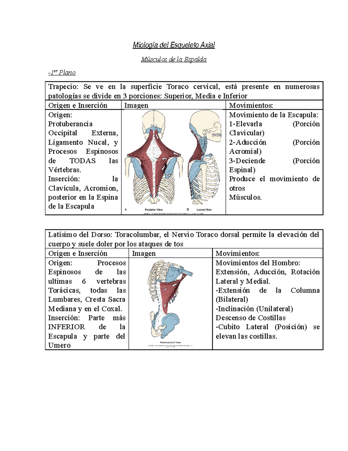 Miología del Esqueleto Axial - Miología del Esqueleto Axial Músculos de ...