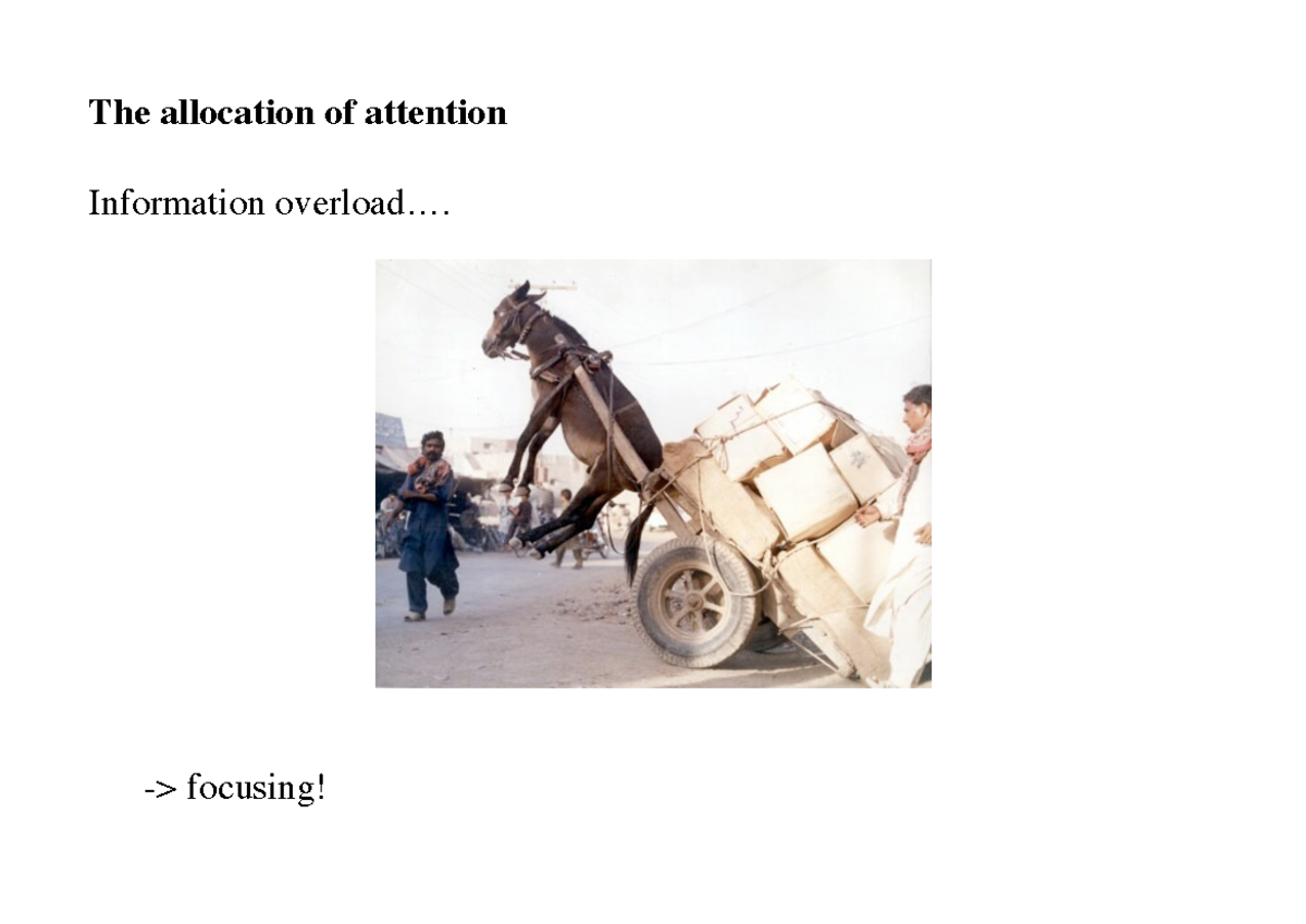 Lecture 4 - Making decision - The allocation of attention Information ...