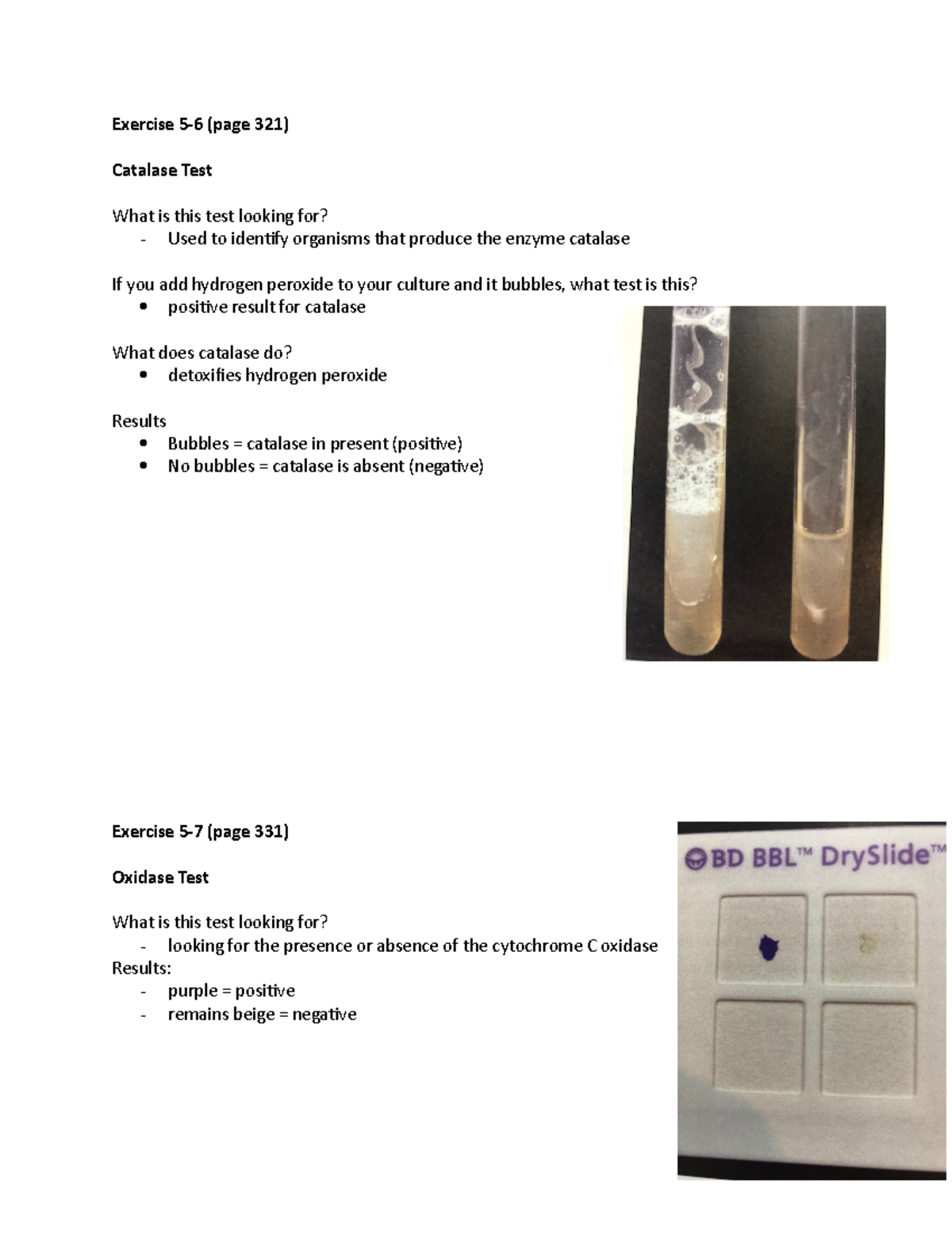 Lap Practical 2 Pictures - Exercise 5-6 (page 321) Catalase Test What ...