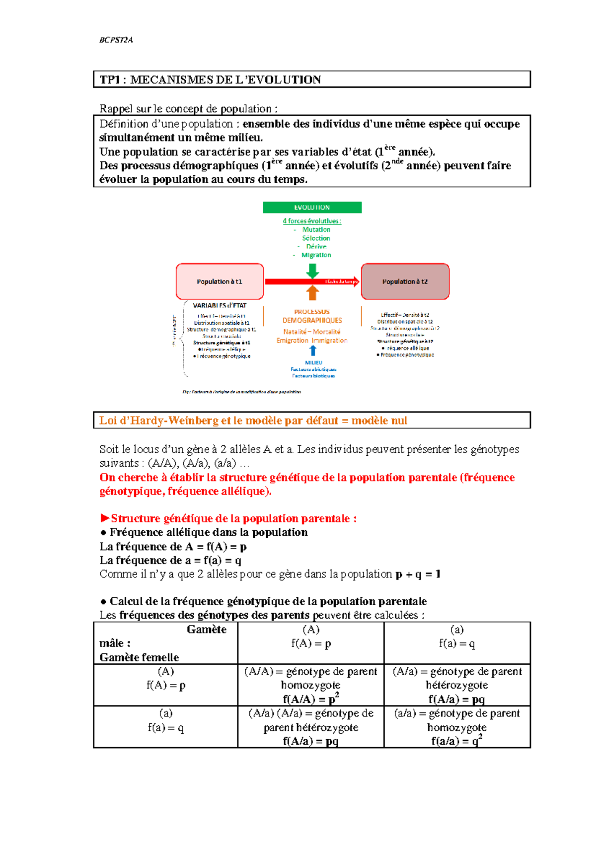 TP hardy weinberg - Modèle mathématiques de génétique - TP1 : MECANISMES DE L’EVOLUTION Rappel ...