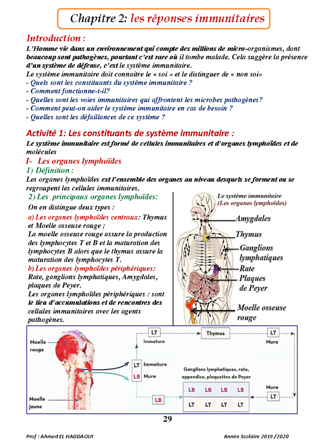 Cours-Le-systeme-immunitaire- 3-eme-annee-college-1 - Chapitre 2: les ...