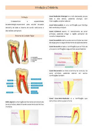 Biopulpectomia - Resumo Endodontia - BIOPULPECTOMIA clinicas: Pulpite ...