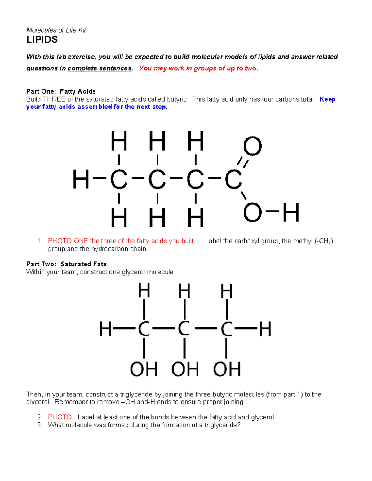 Molecules of Life Kit Lipids - Molecules of Life Kit LIPIDS With this lab exercise, you will be ...