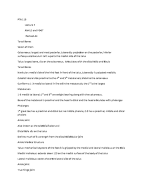 Lecture 2 - Connective Tissue - Lecture 2 - Connective Tissue A. Intro a. There are four primary ...