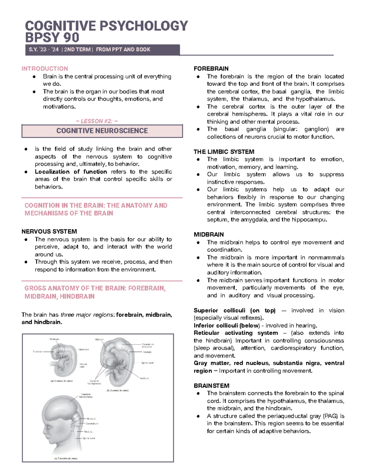 Lesson 2: Cognitive Psychology / from book and lecture - COGNITIVE ...
