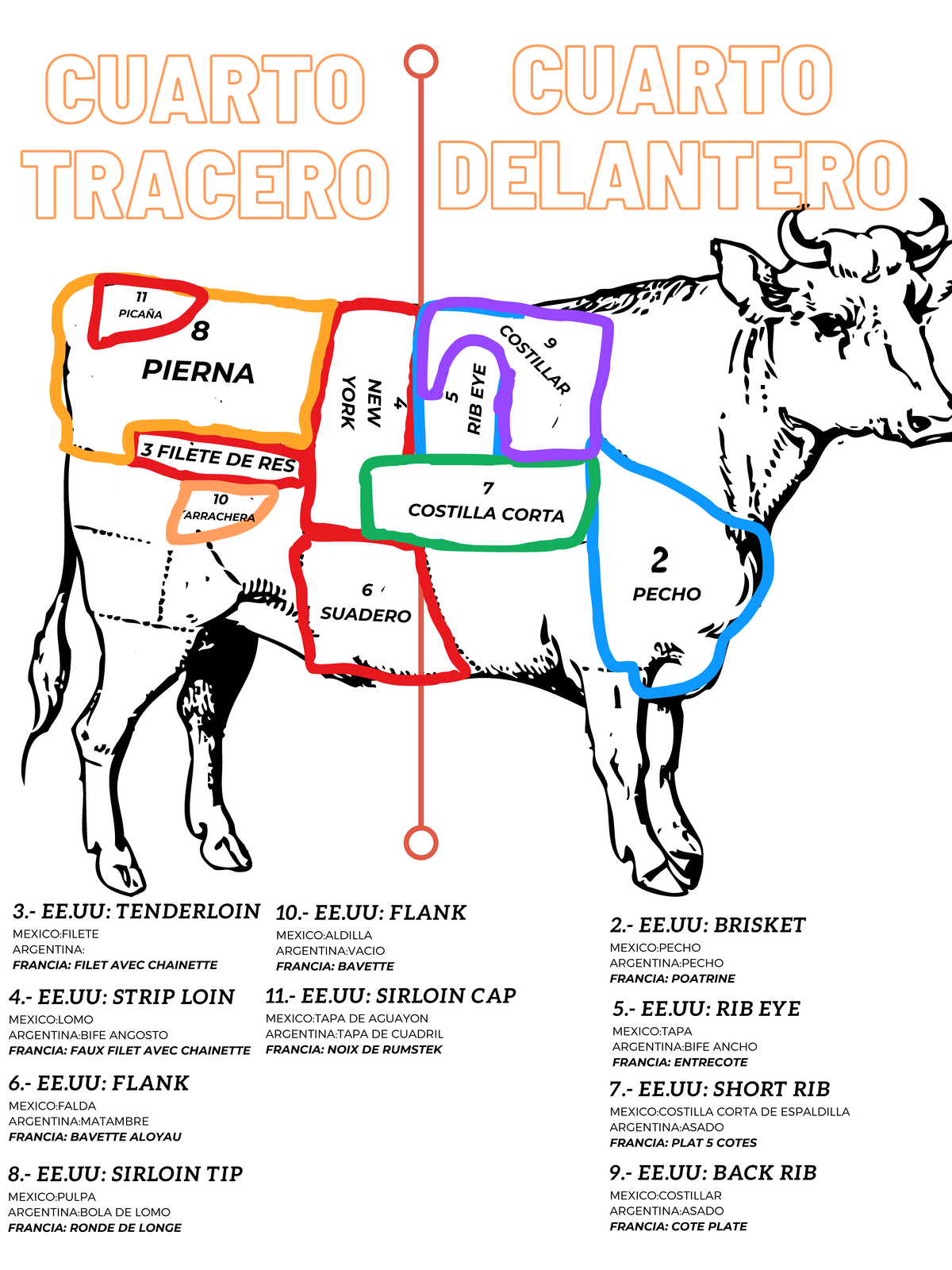 partes de la res - CUARTO TRACERO CUARTO DELANTERO 2.- EE: BRISKET ...