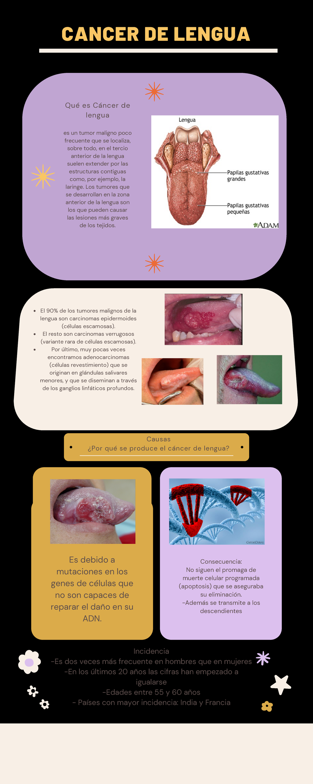 Cancer de lengua - resumen - Incidencia -Es dos veces más frecuente en ...