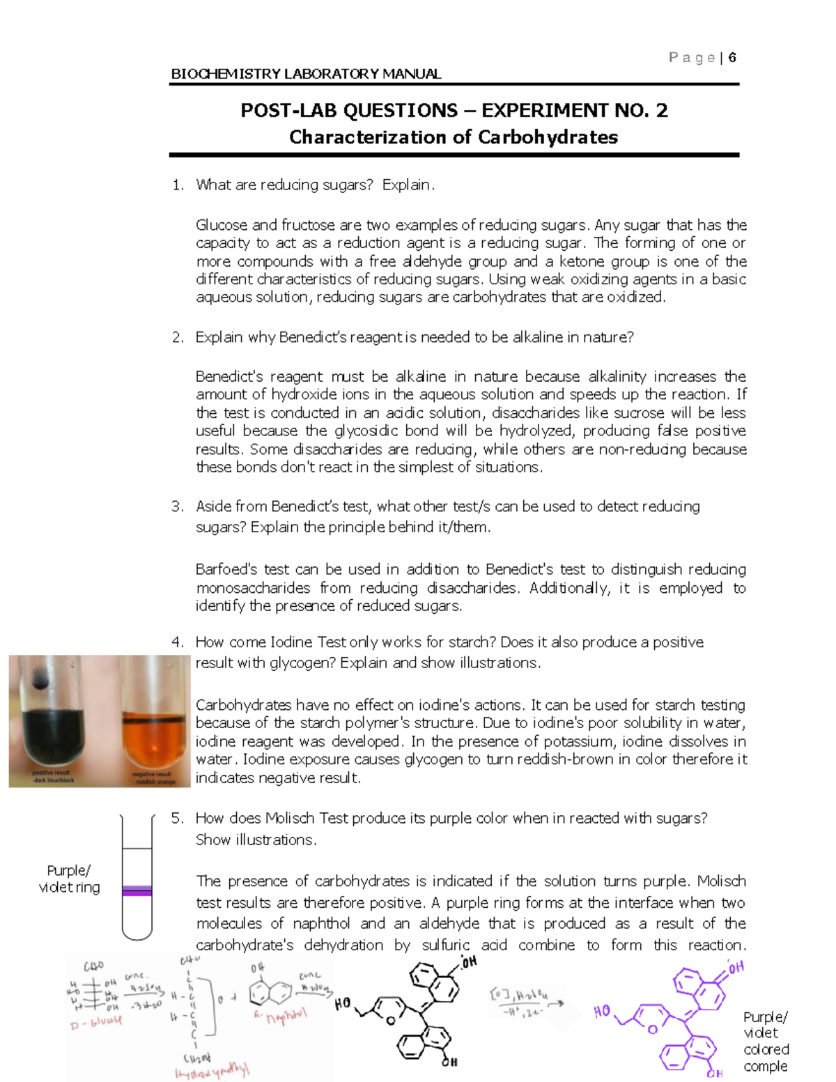 Post Lab Activity 2 - P a g e | 6 BIOCHEMISTRY LABORATORY MANUAL POST ...