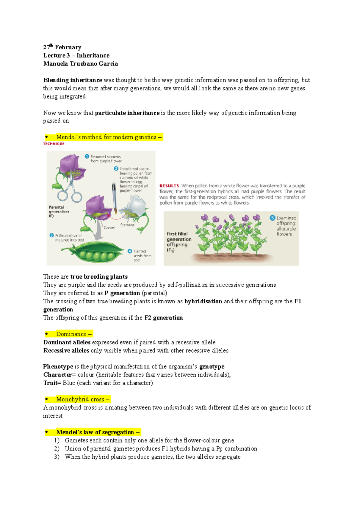 Lecture 3 Inheritance - all notes needed to pass the exam for this ...